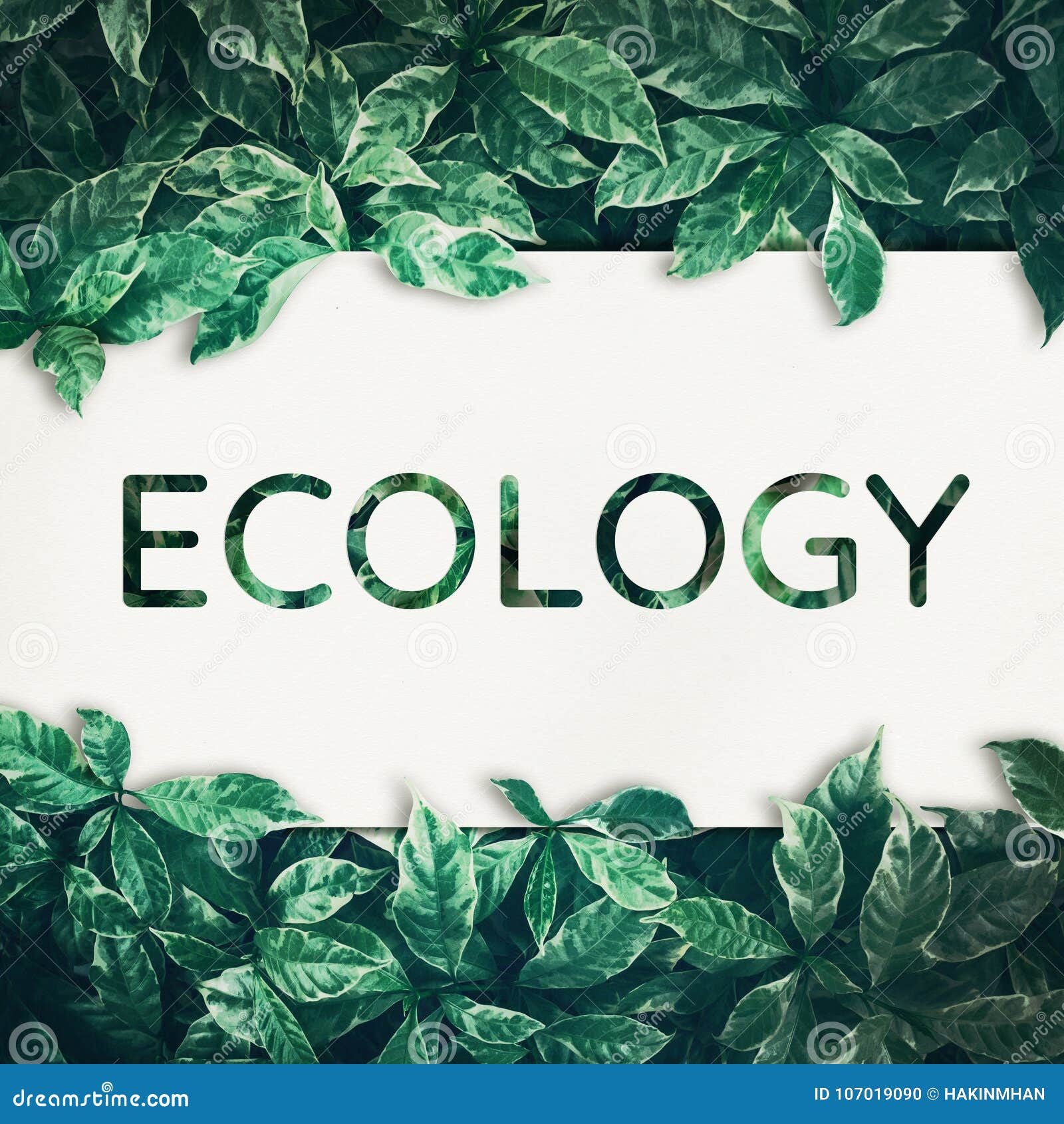 Ecology Text With Green Leaf Friendly Eco Environment Concept Stock