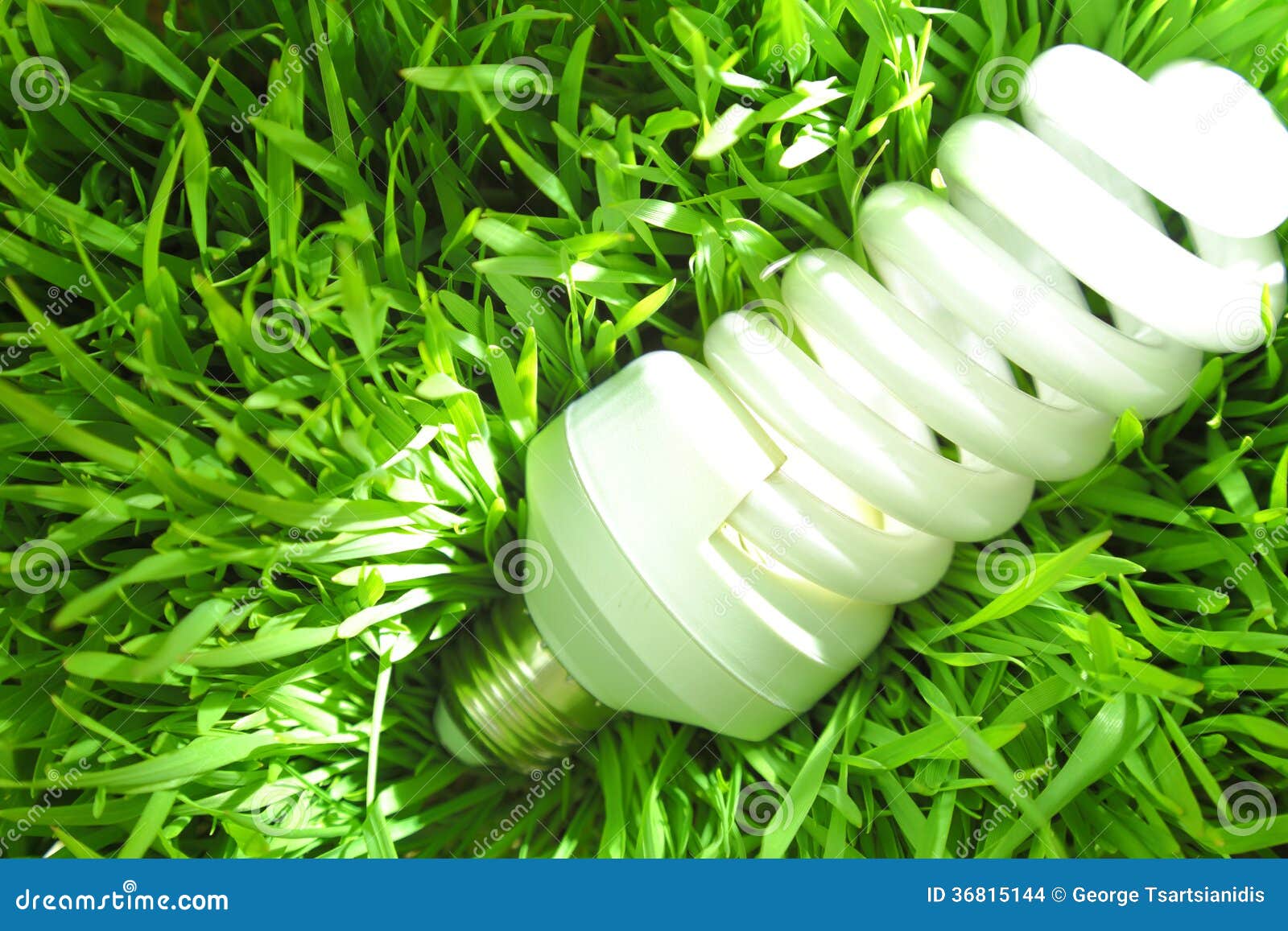 Economy light bulb stock photo. Image of energy, green - 36815144