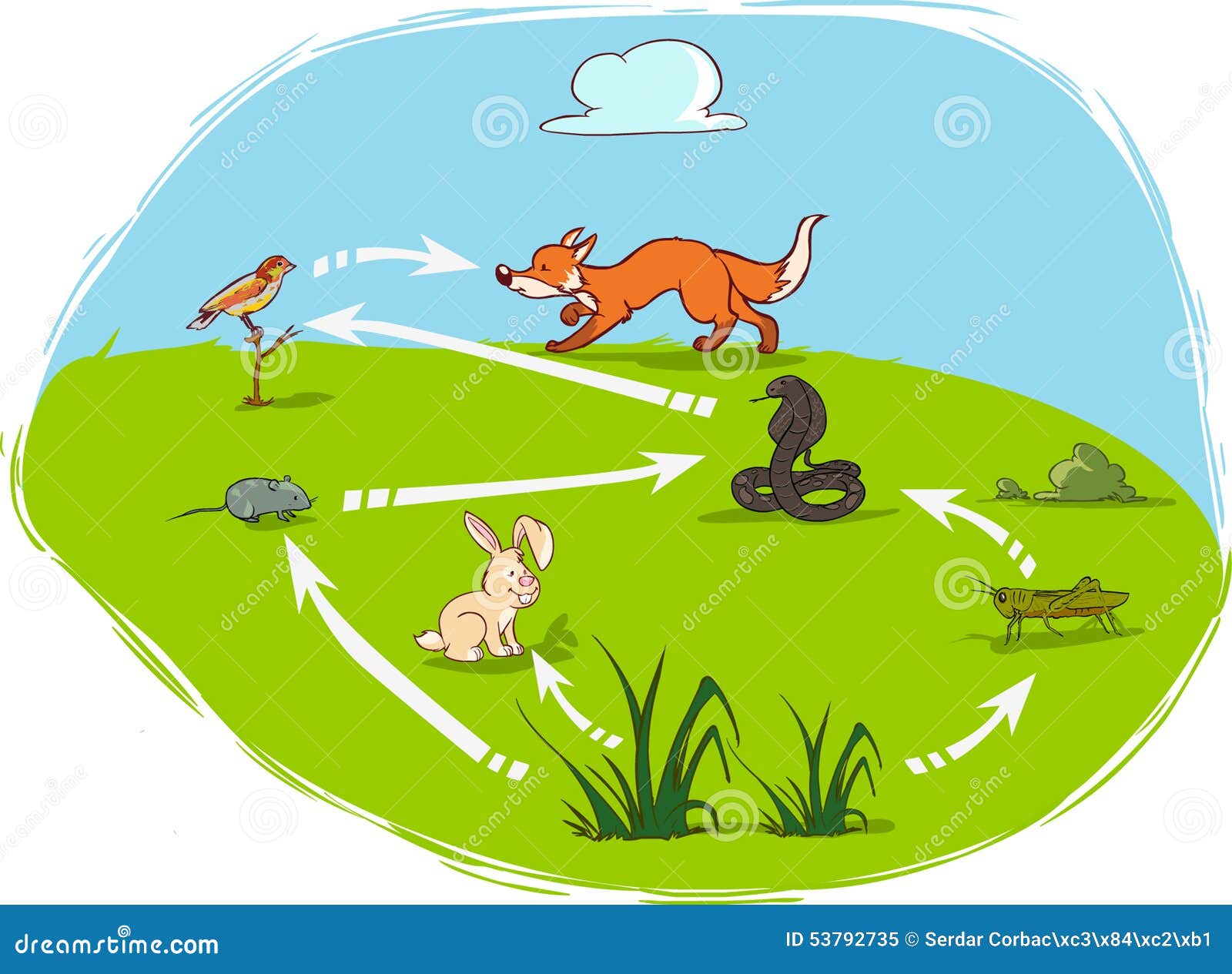 Ecosysteem-diagram stock illustratie. Illustration of wereld - 53792735