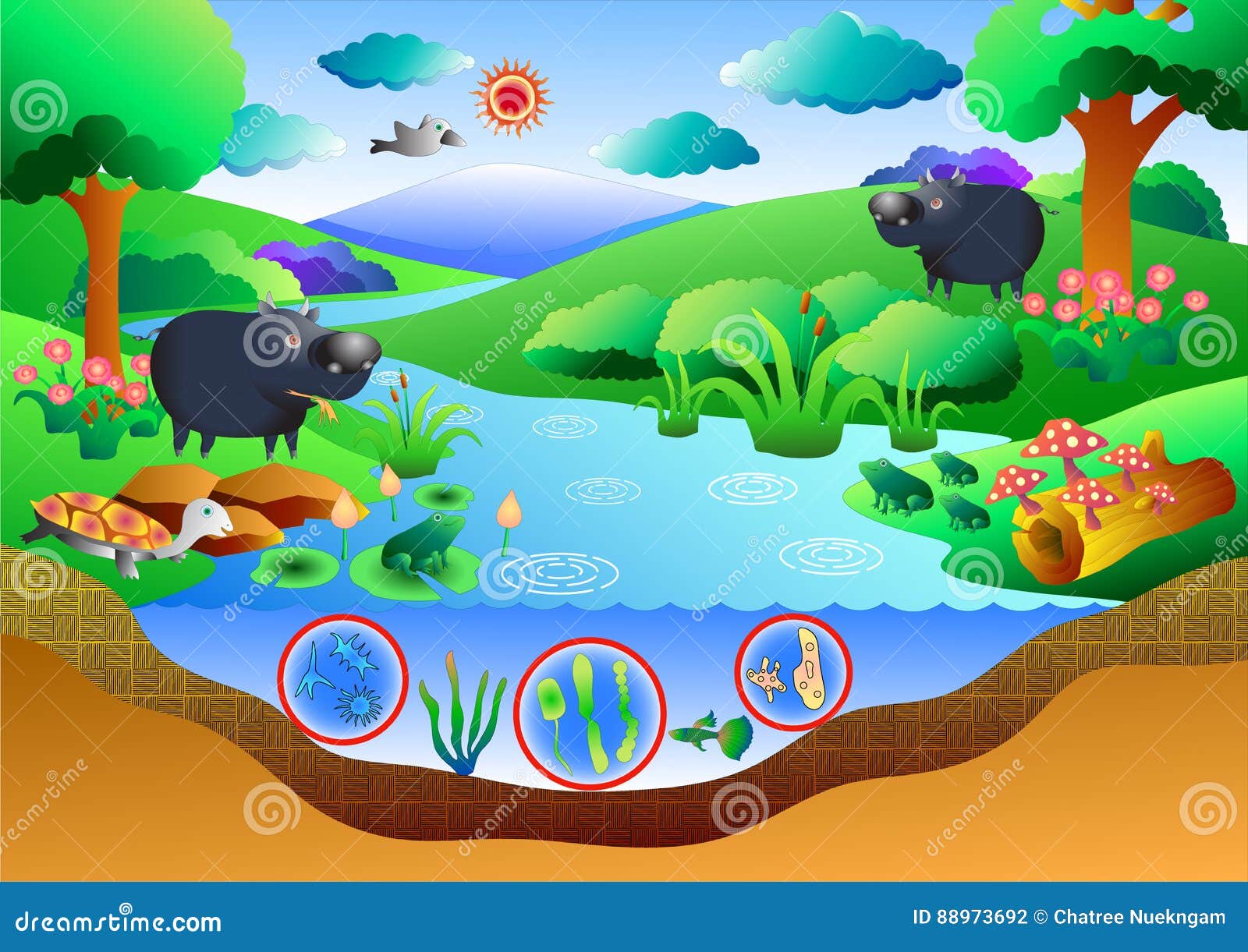 Image Result For Ecosystem Diagram Ecosystems Desert - vrogue.co Image Result For Ecosystem Diagram Ecosystems Desert - vrogue.co