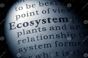 Definition of the Word Ecosystem Stock Photo - Image of printing, word ...