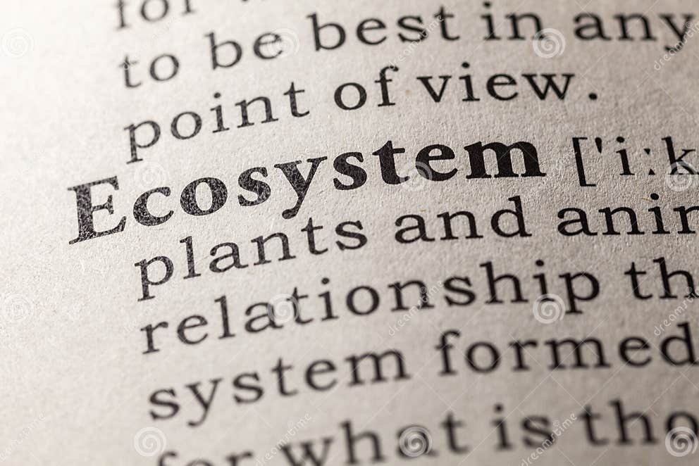 Definition of the Word Ecosystem Stock Image - Image of text, word ...