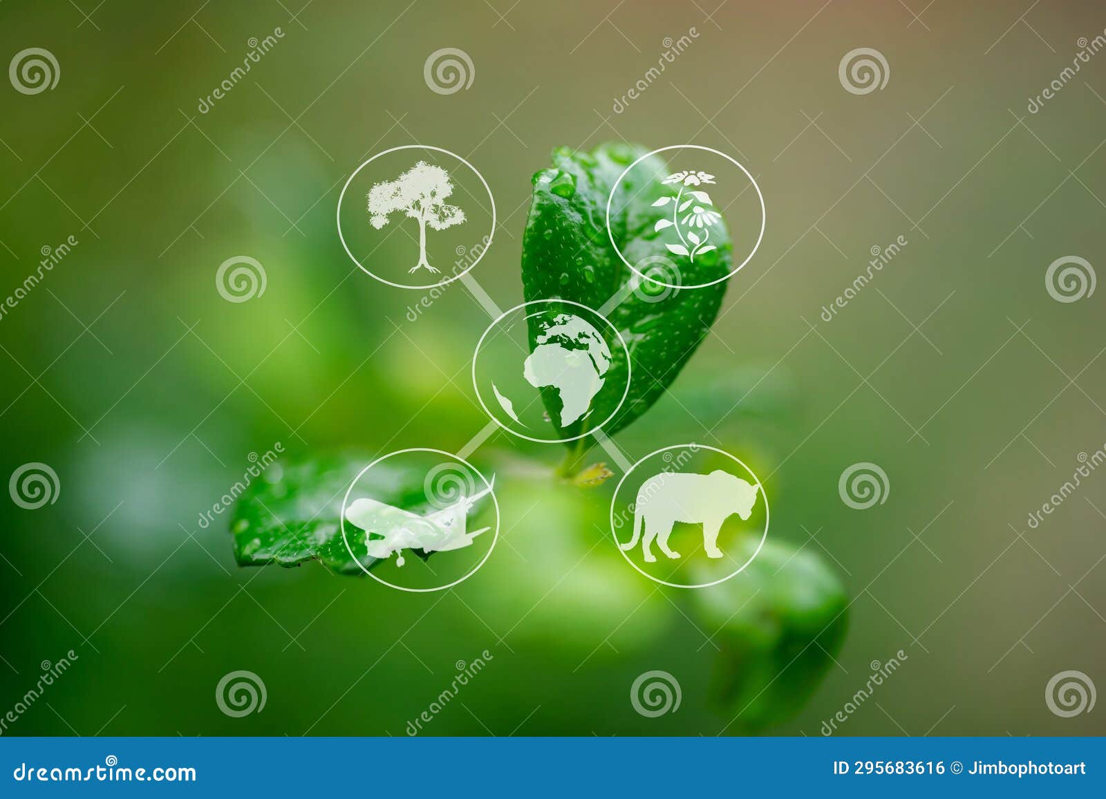 Ecosystem and Preserve Nature and Sustainable Stock Photo - Image of ...