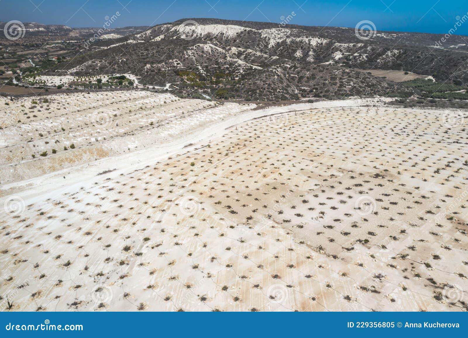 Ecosystem Restoration. Reforestation In Former Open Pit Mine Area In ...