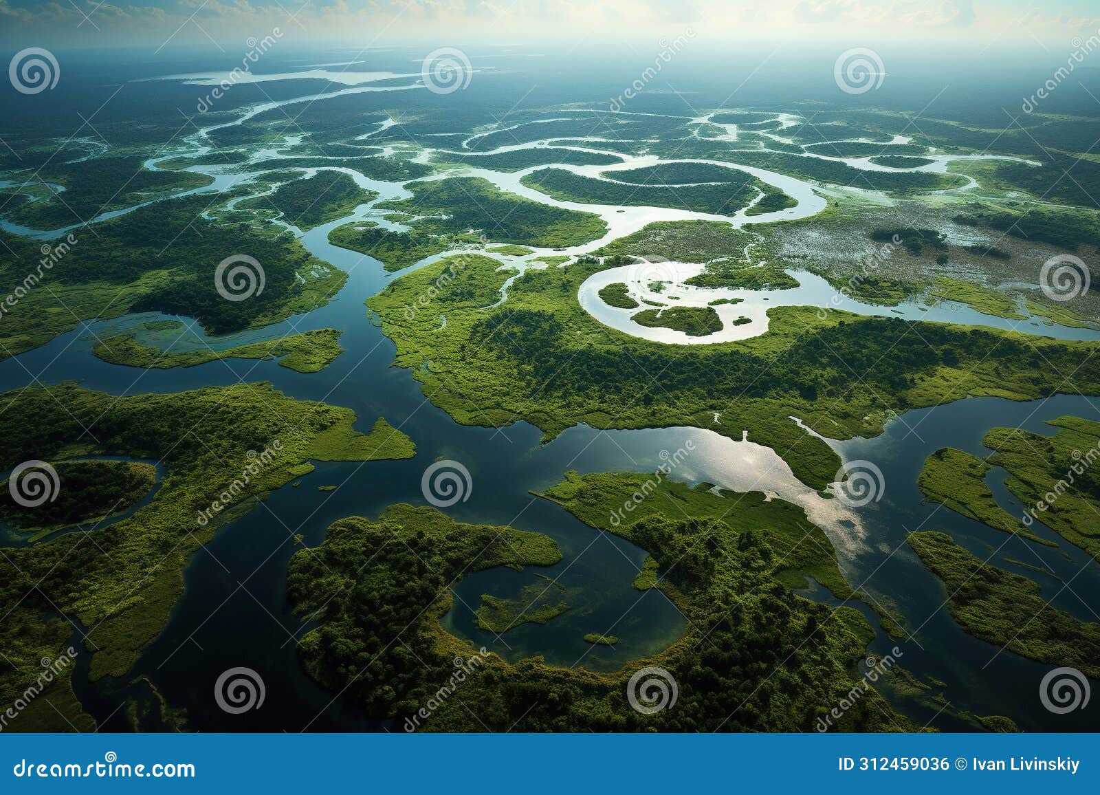 The Ecosystem of the River Lagoon Valley - Aerial View Stock ...