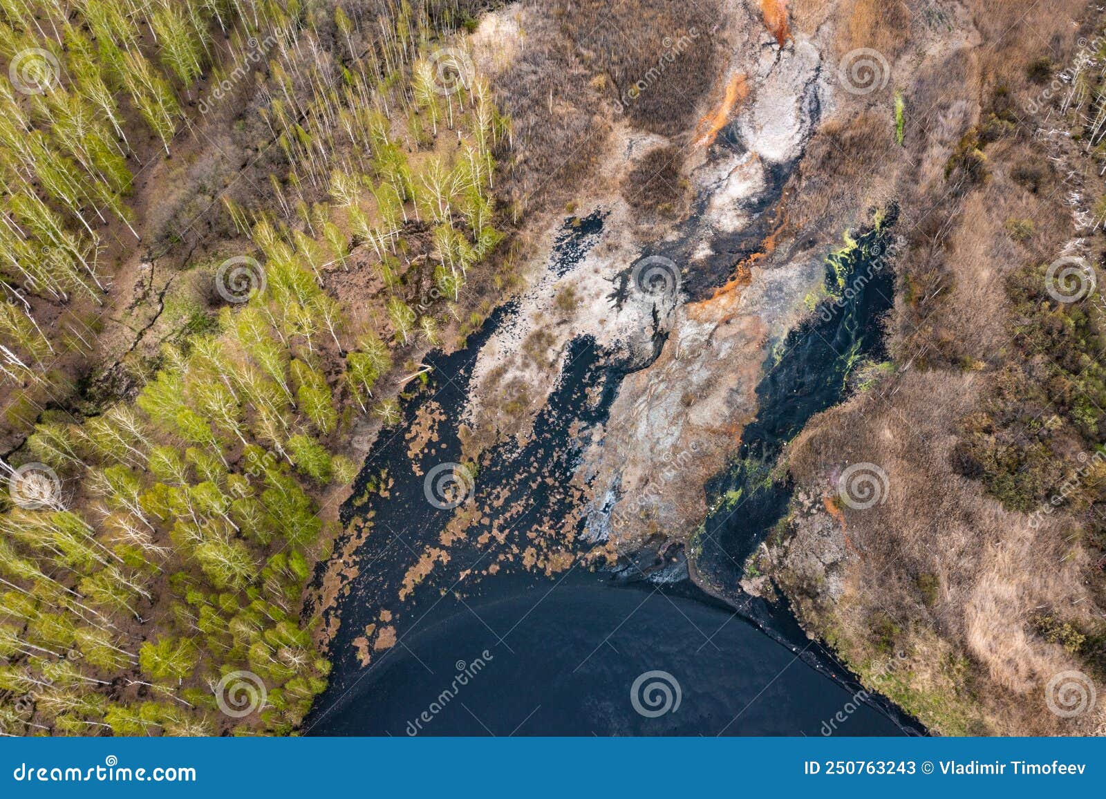 The Ecosystem of the River Was Destroyed by Harmful Emissions from the ...