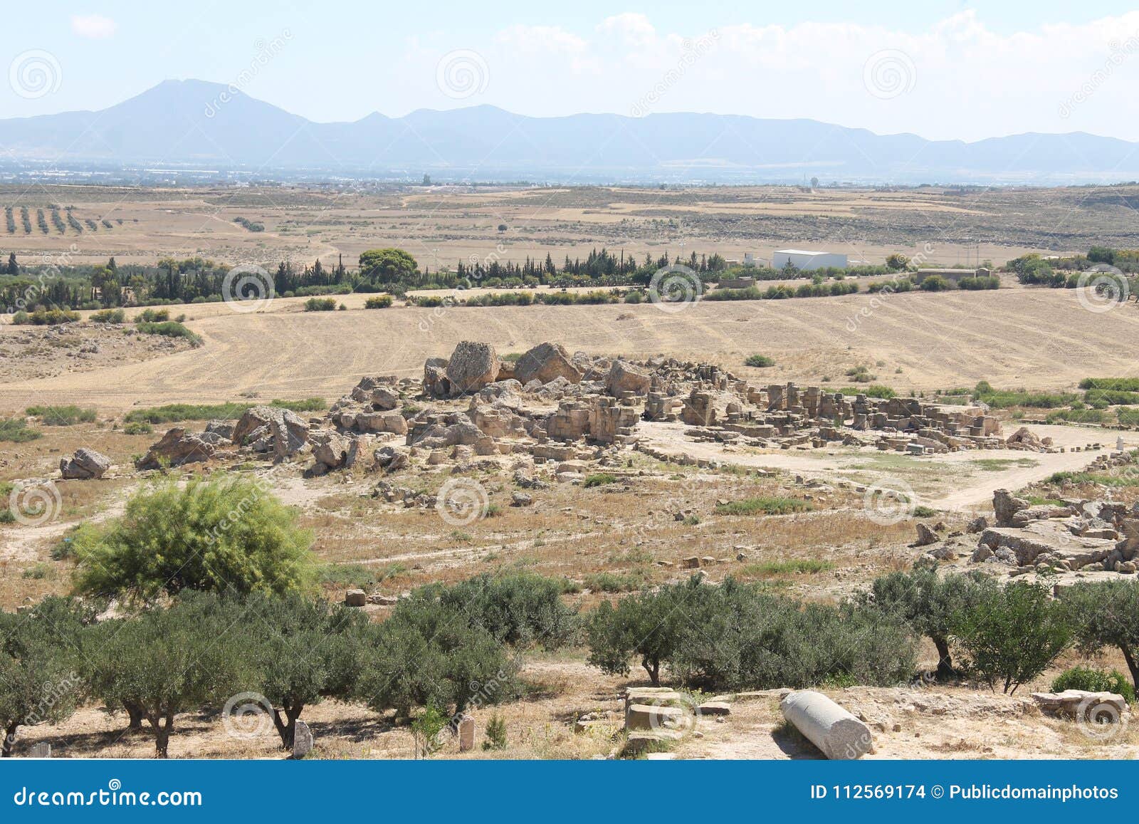 Ecosystem, Shrubland, Ecoregion, Steppe Picture. Image: 112569174
