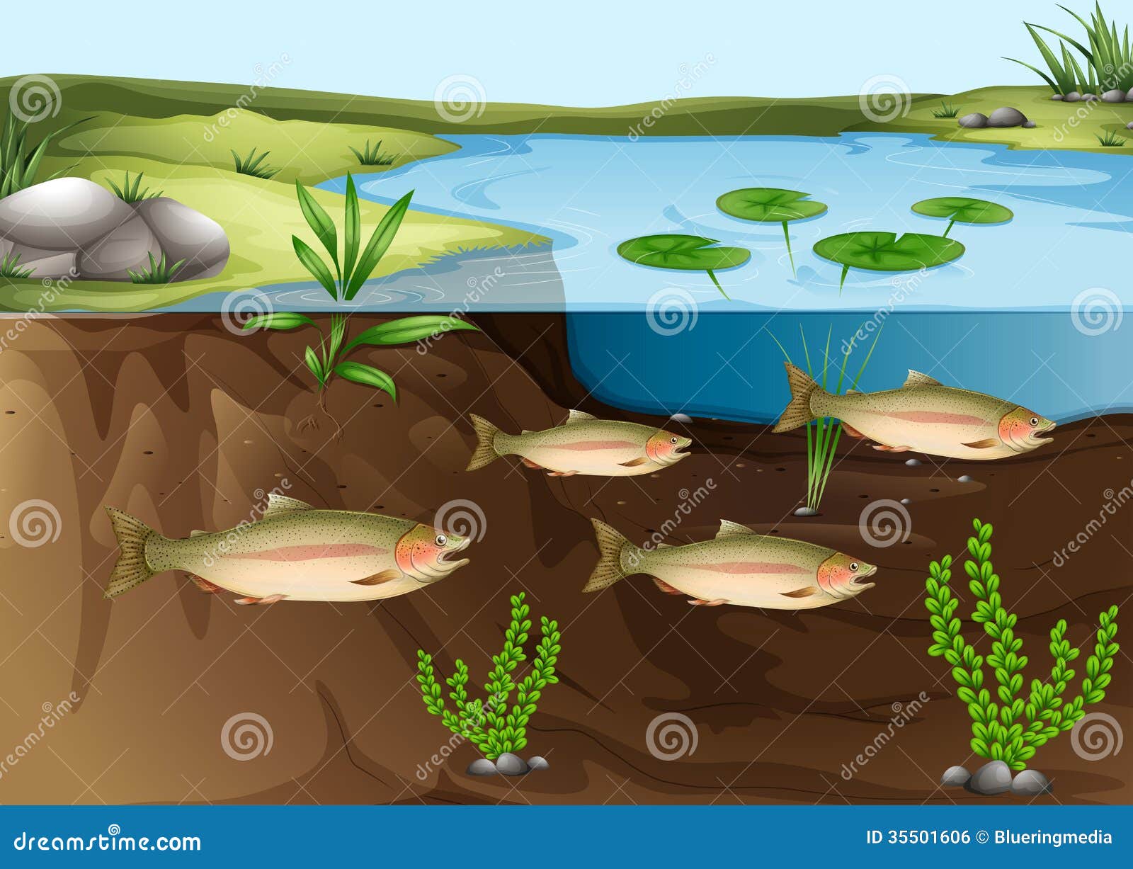 Abiotic Cartoons, Illustrations & Vector Stock Images - 36 Pictures to ...
