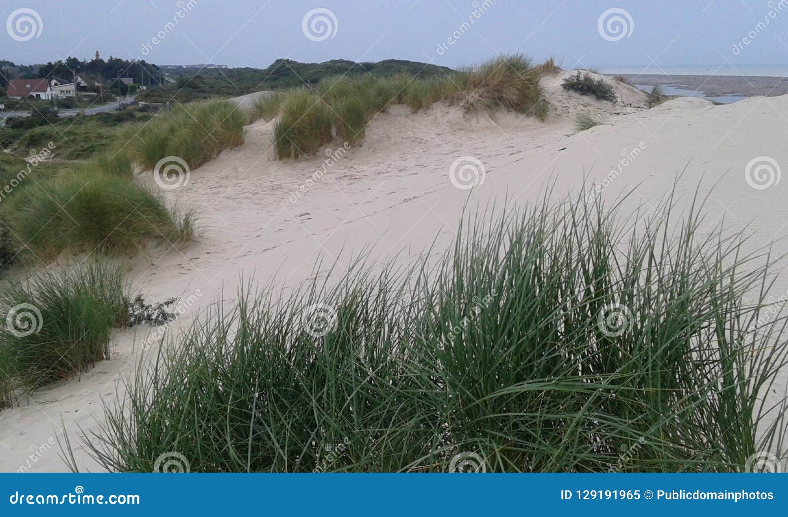 Ecosystem, Vegetation, Sand, Dune Picture. Image: 129191965