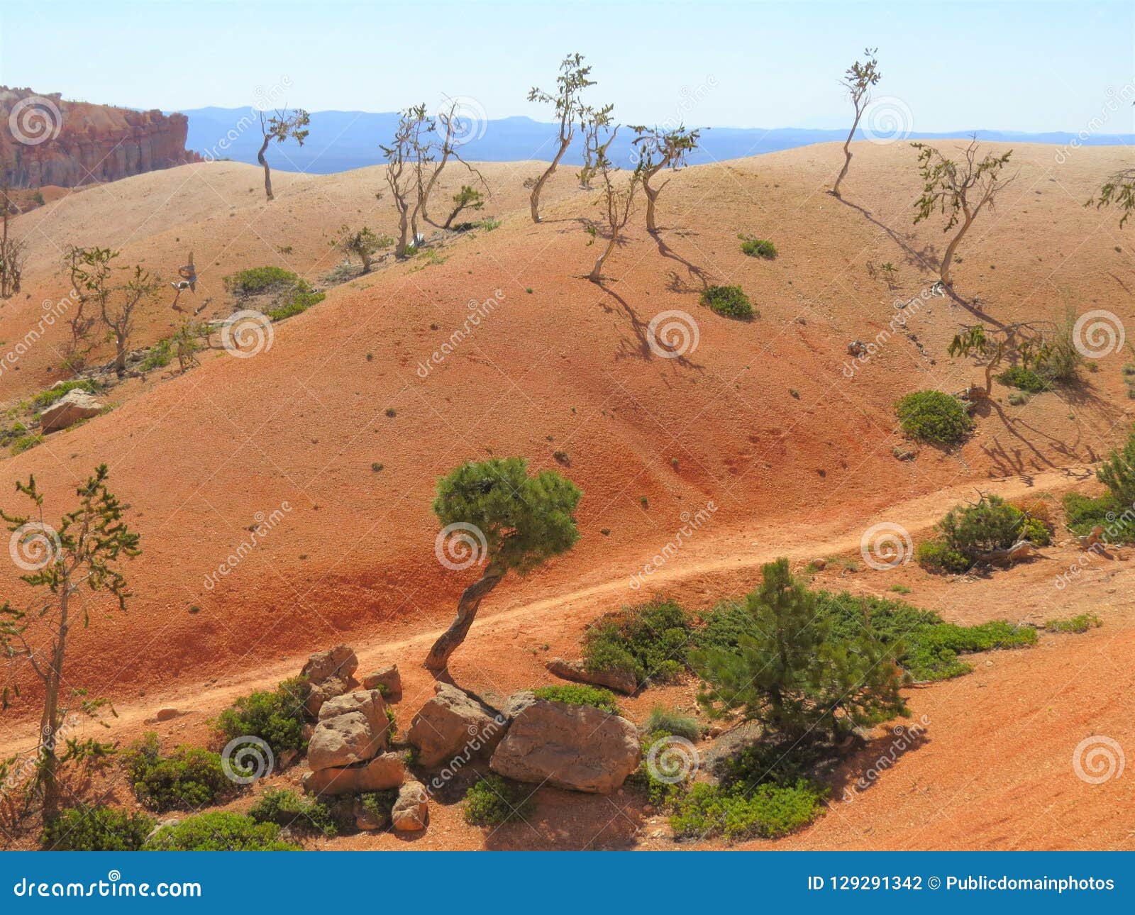 Ecosystem, Wilderness, Soil, Shrubland Picture. Image: 129291342