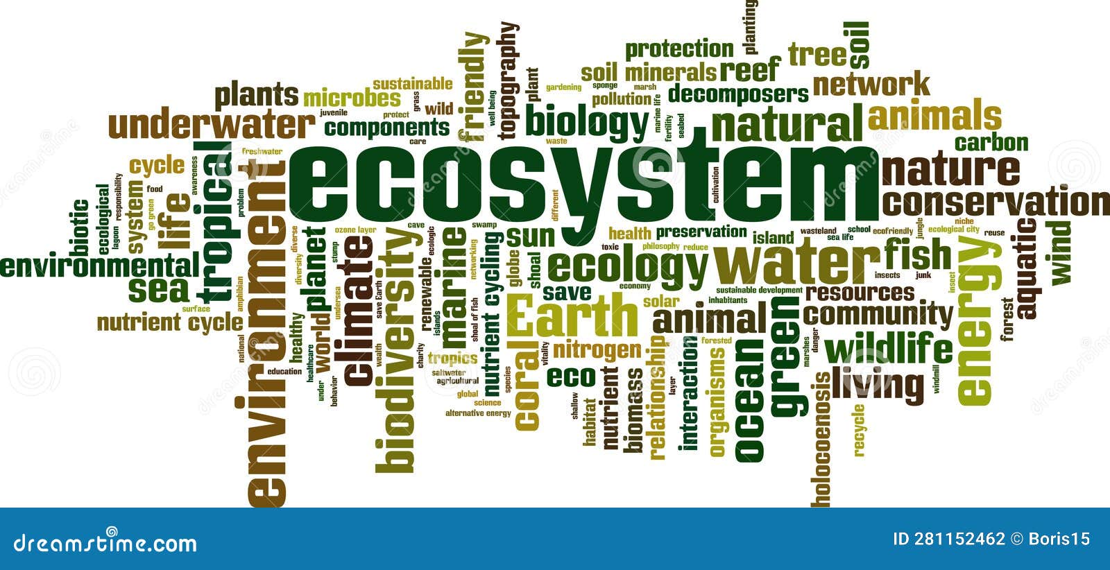 ECOSYSTEM - Word Cloud Wordcloud - Terms From The Globalization ...