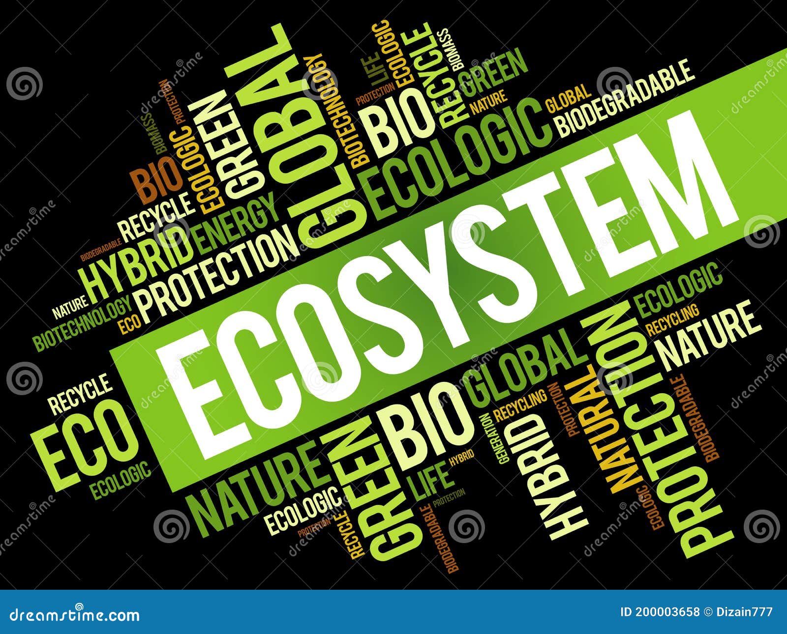 ECOSYSTEM - Word Cloud Wordcloud - Terms From The Globalization ...