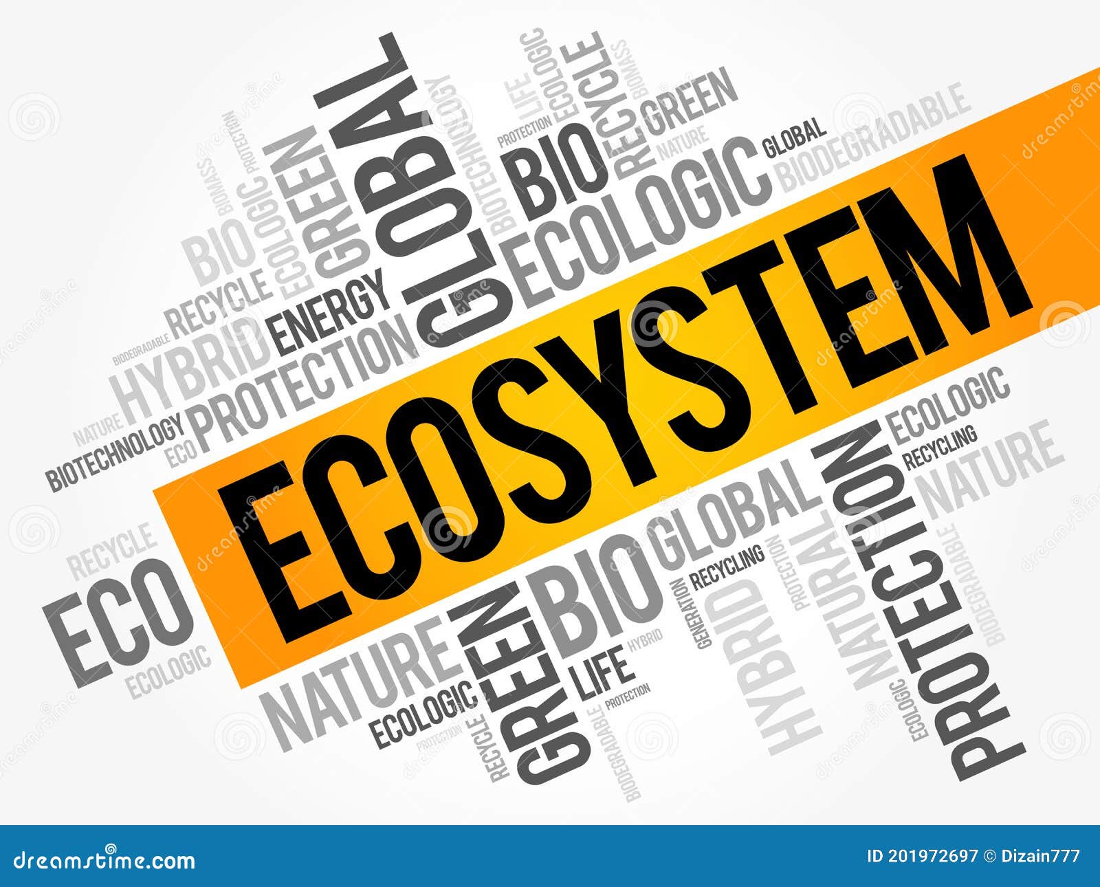 ECOSYSTEM - Word Cloud Wordcloud - Terms From The Globalization ...