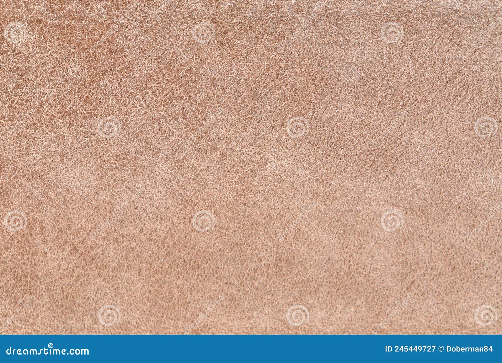 The Ecru Color Beige Leather Sample . Abstract Background with Copy ...