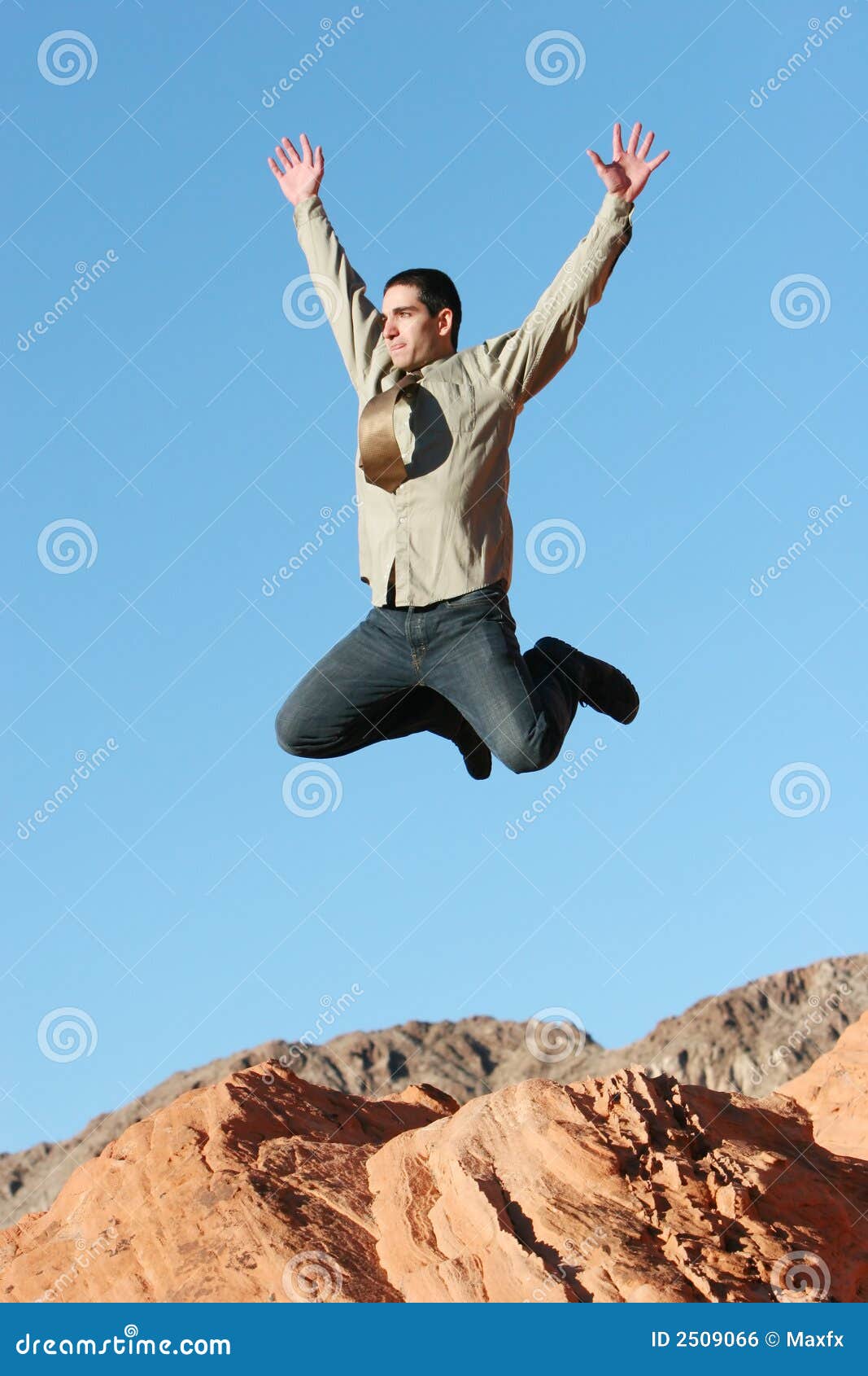 Ecstatic businessman stock photo. Image of powerful, attractive - 2509066