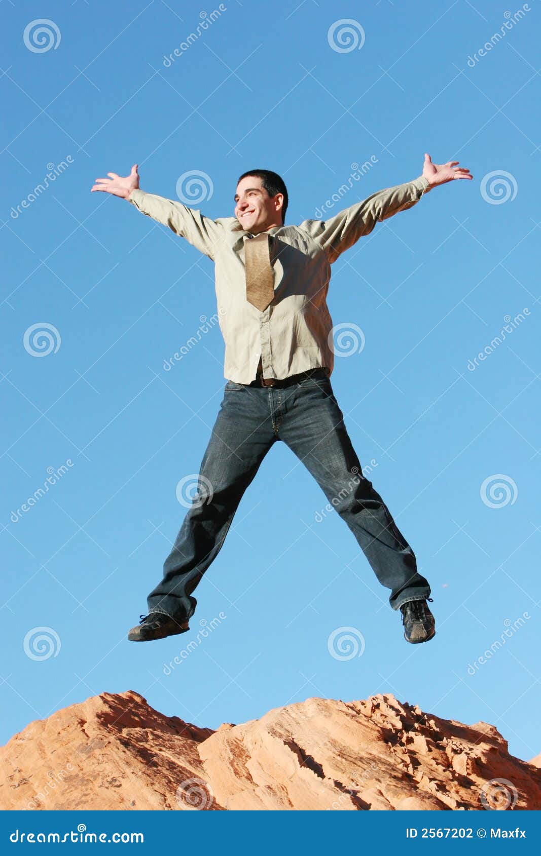 Ecstatic businessman stock photo. Image of strength, important - 2567202