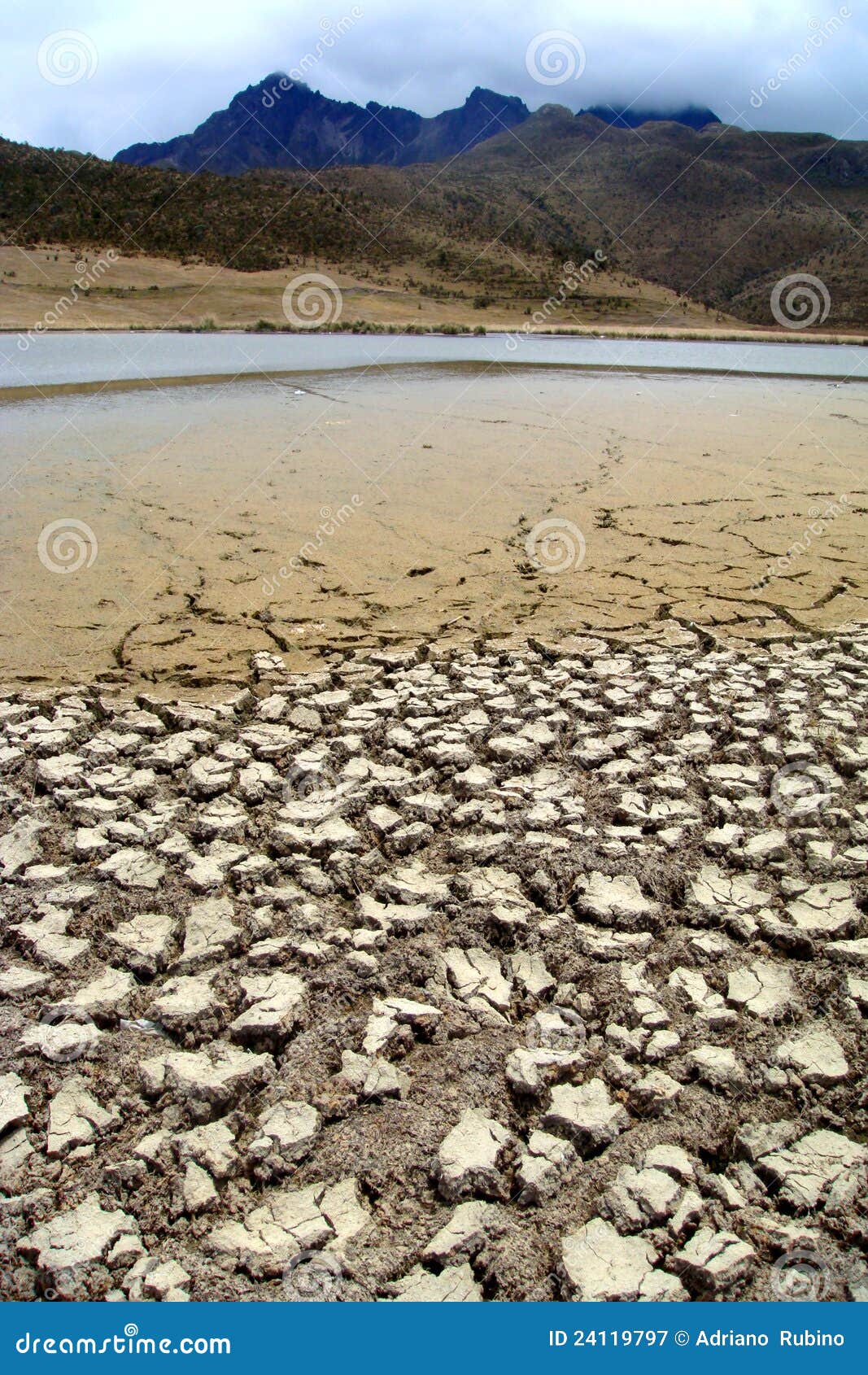 Ecuador desert stock image. Image of ecology, desert - 24119797