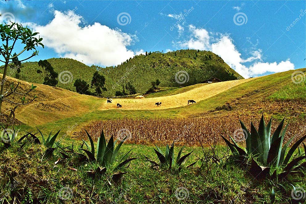 Ecuador landscape stock photo. Image of scenic, blue - 12348960
