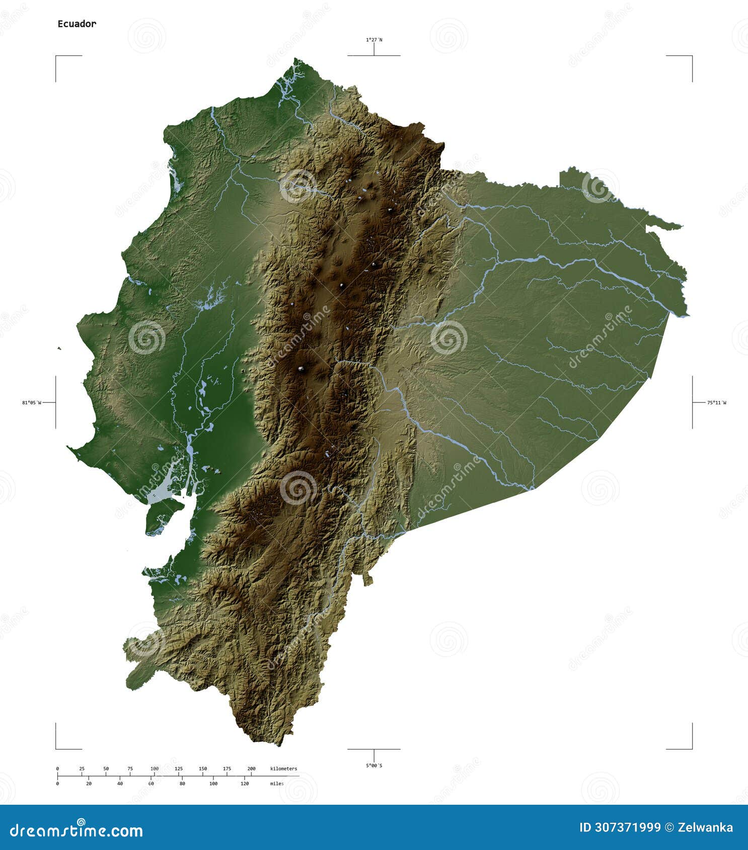 Ecuador Shape on White. Pale Stock Illustration - Illustration of ...