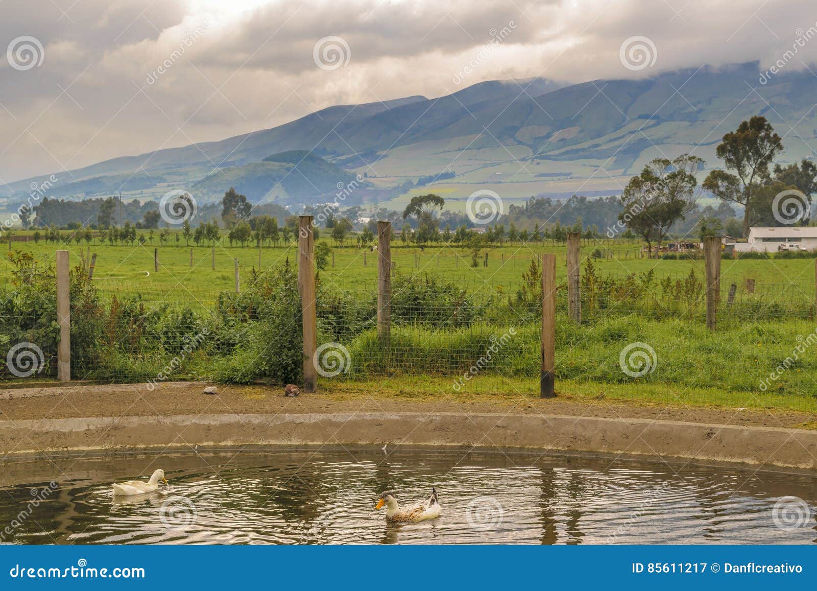 Ecuadorian Andean Landscape Scene Stock Image - Image of andes, green ...