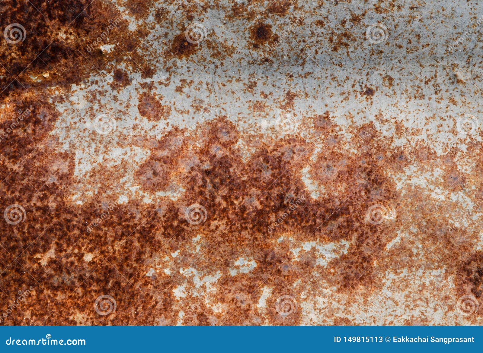 Ed Rust on the Wall of the Container Metal Decayed Crumpled Sheet Wide ...