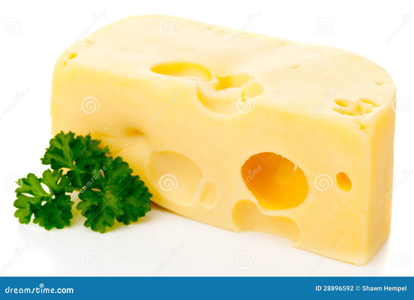 Edam cheese stock photo. Image of cheese, swiss, edam - 28896592