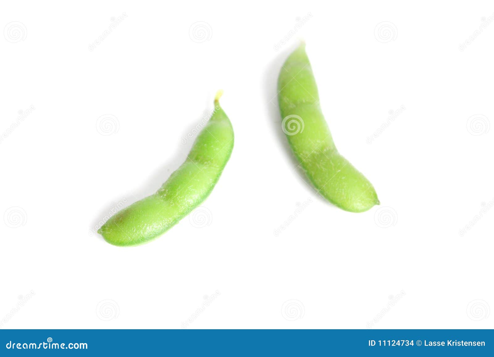 Edamame stock photo. Image of fresh, appetizer, food - 11124734