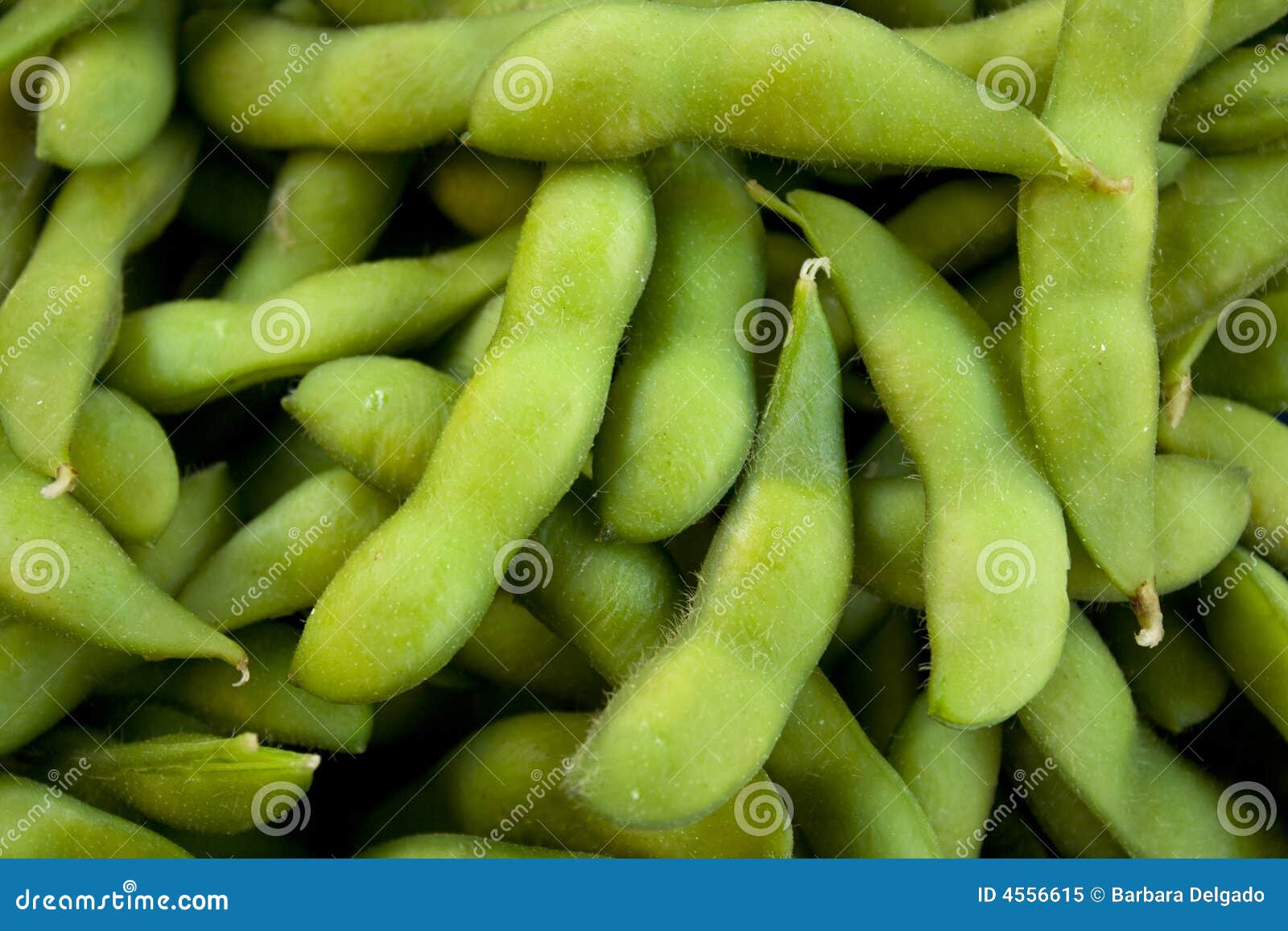 Edamame of Sojabonen stock afbeelding. Image of voedsel - 4556615