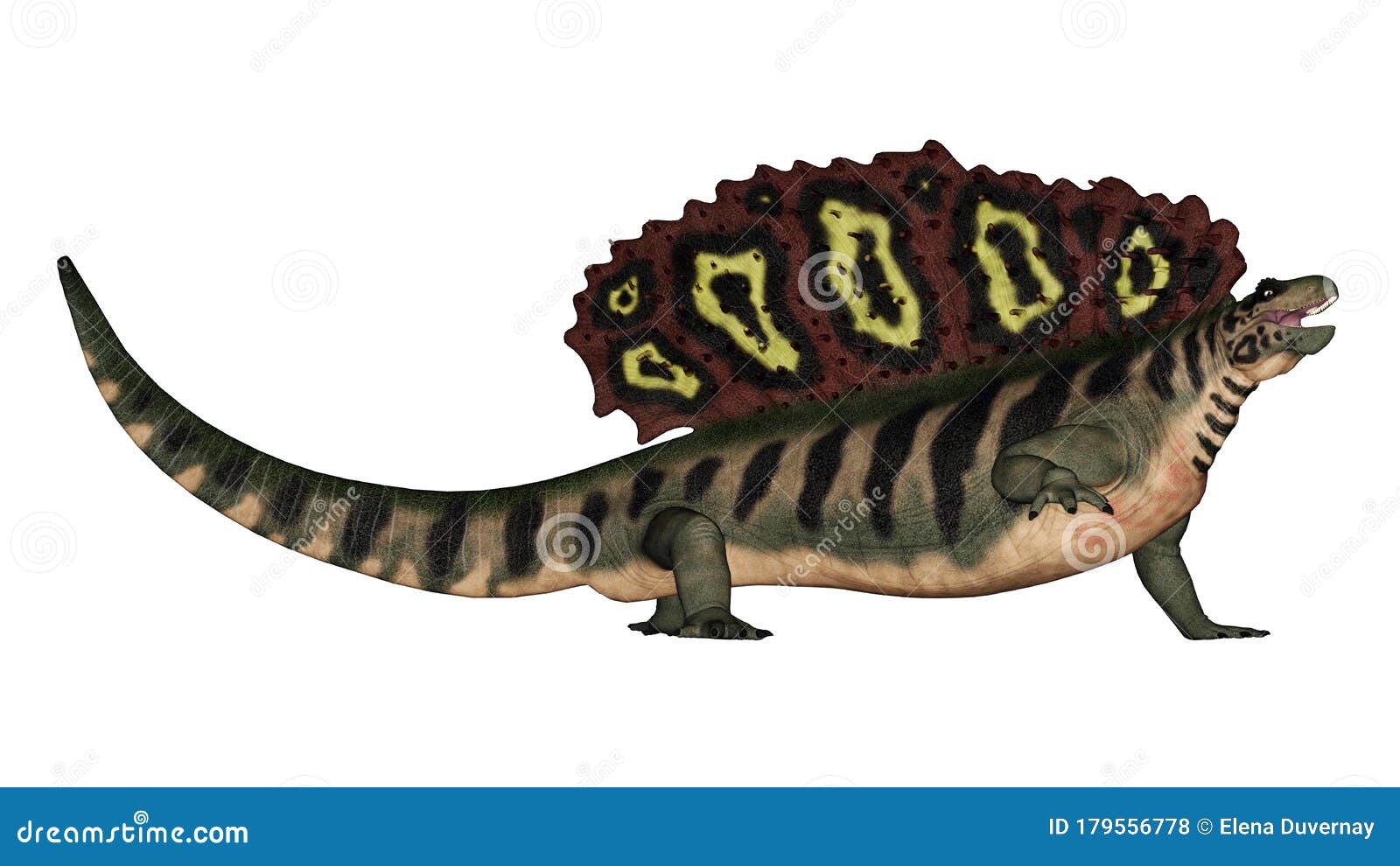 Edaphosaurus Prehistoric Animal Roaring - 3D Render Stock Illustration ...