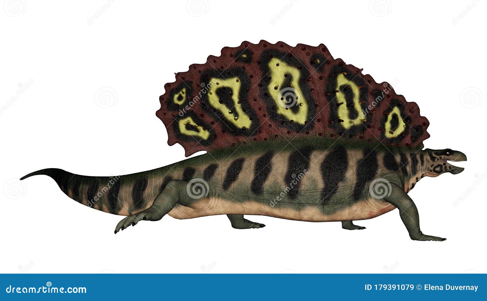 Edaphosaurus Prehistoric Animal Running - 3D Render Stock Illustration ...