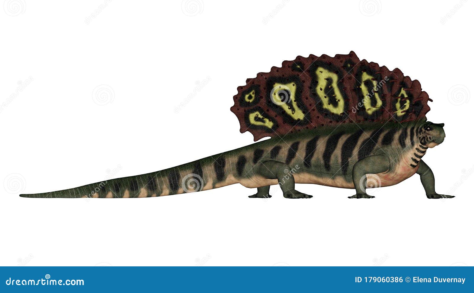 Edaphosaurus Prehistoric Animal Walking - 3D Render Stock Illustration ...