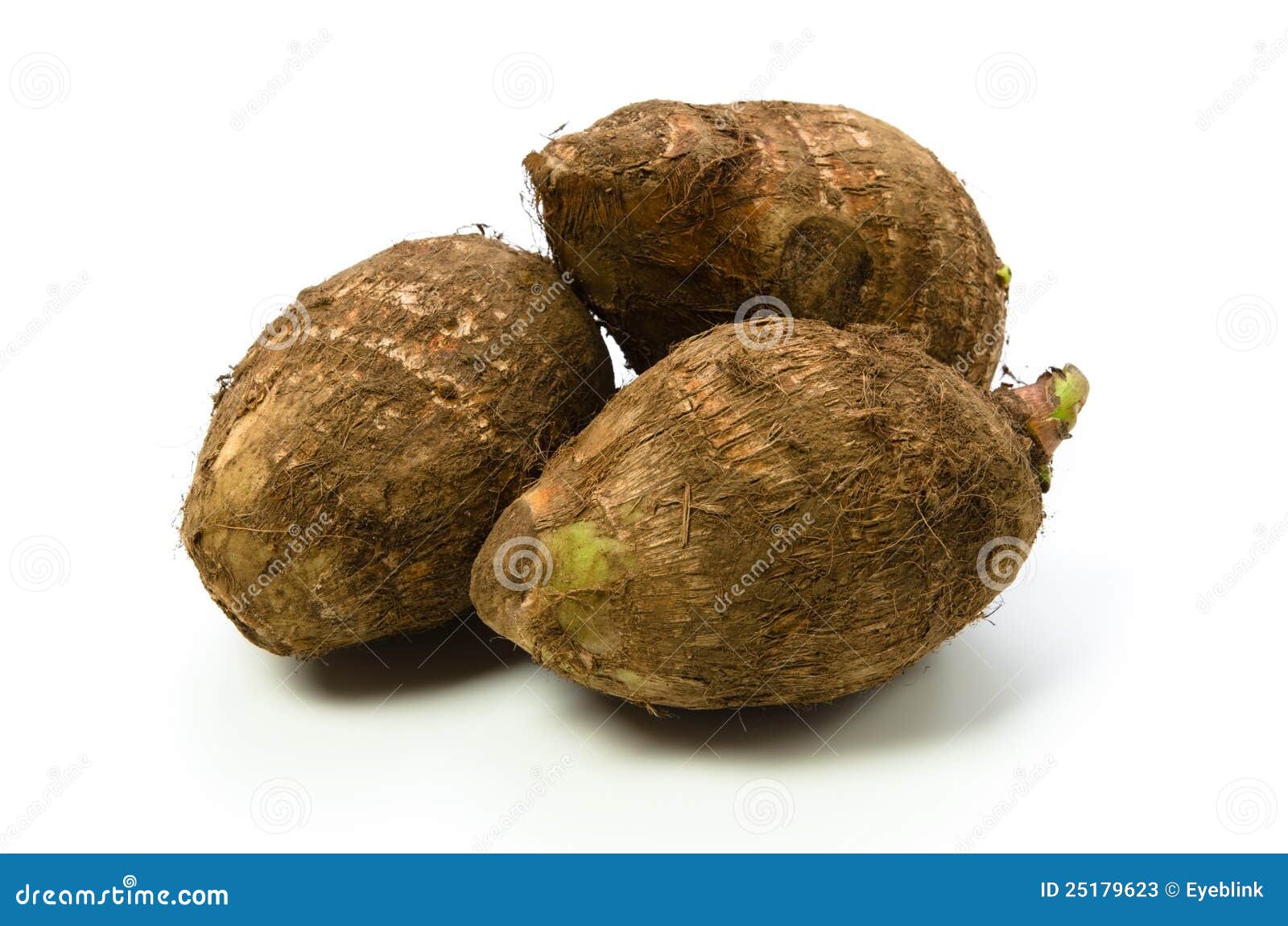 Eddoe stock image. Image of satoimo, vegetable, cook - 25179623