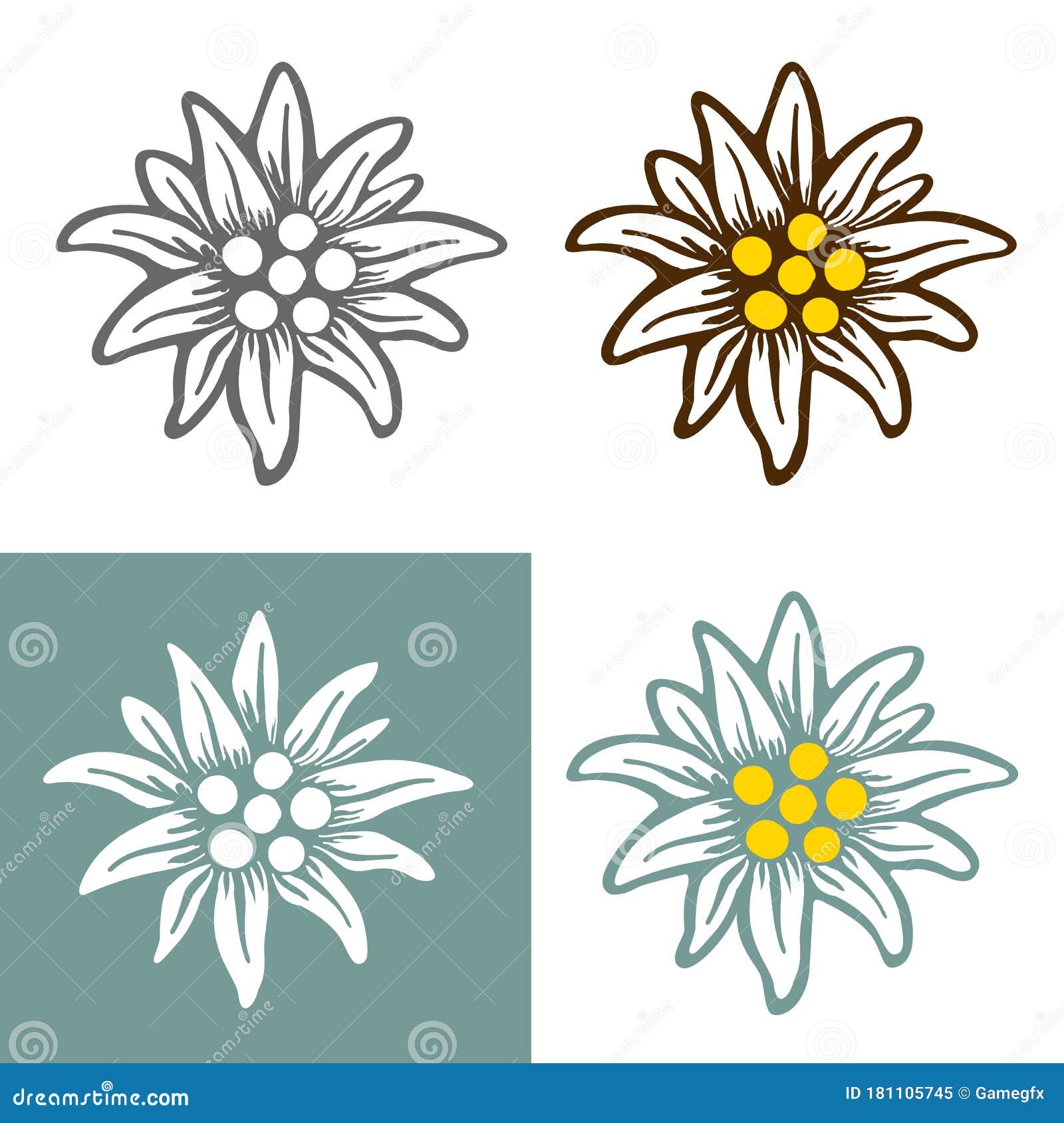 Edelweiss Flower Icon Vector Alpine Icon Flat Web Sign Symbol Logo ...