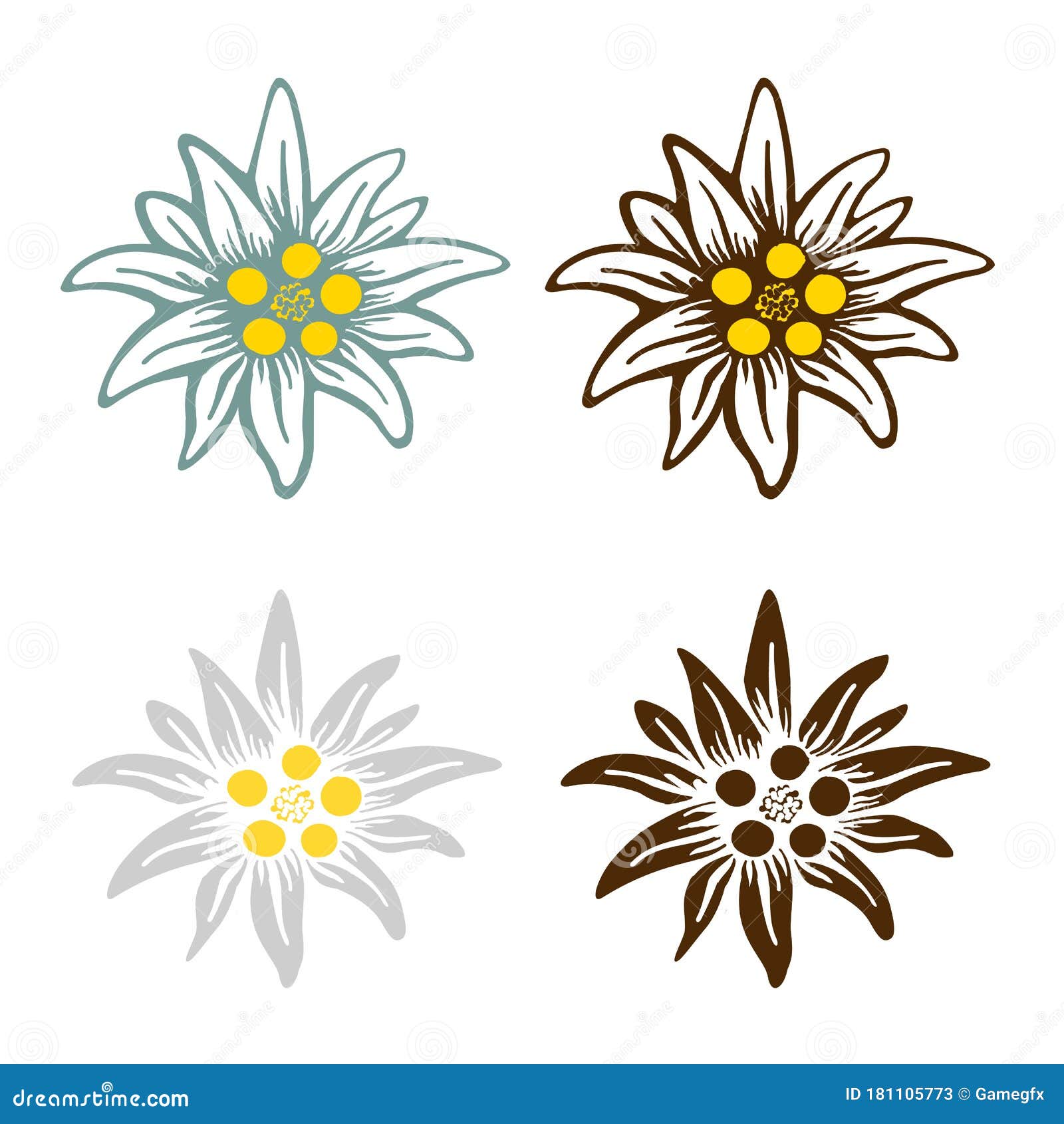 Edelweiss Flower Icon Vector Alpine Icon Flat Web Sign Symbol Logo ...