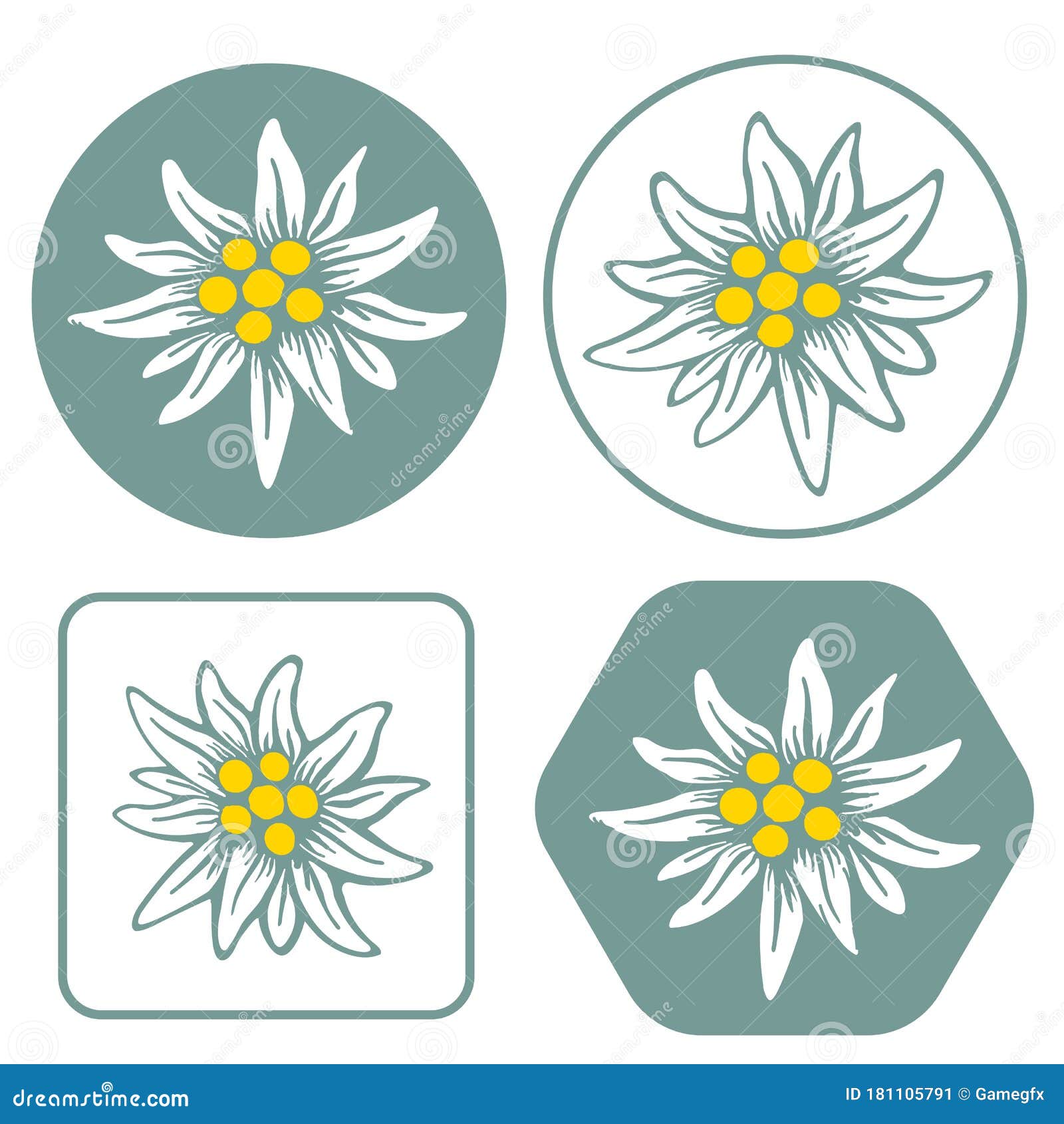 Edelweiss Flower Icon Vector Alpine Icon Flat Web Sign Symbol Logo ...