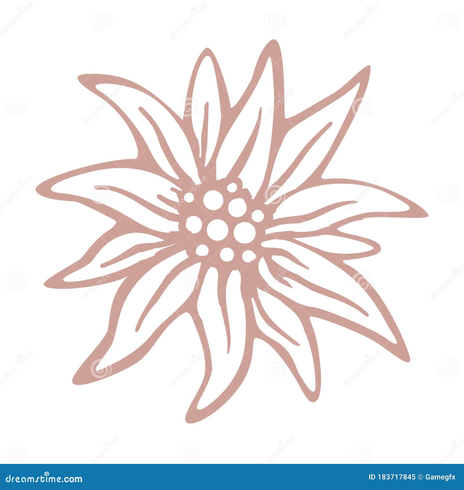Edelweiss Flower Icon Vector Alpine Icon Flat Web Sign Symbol Logo ...