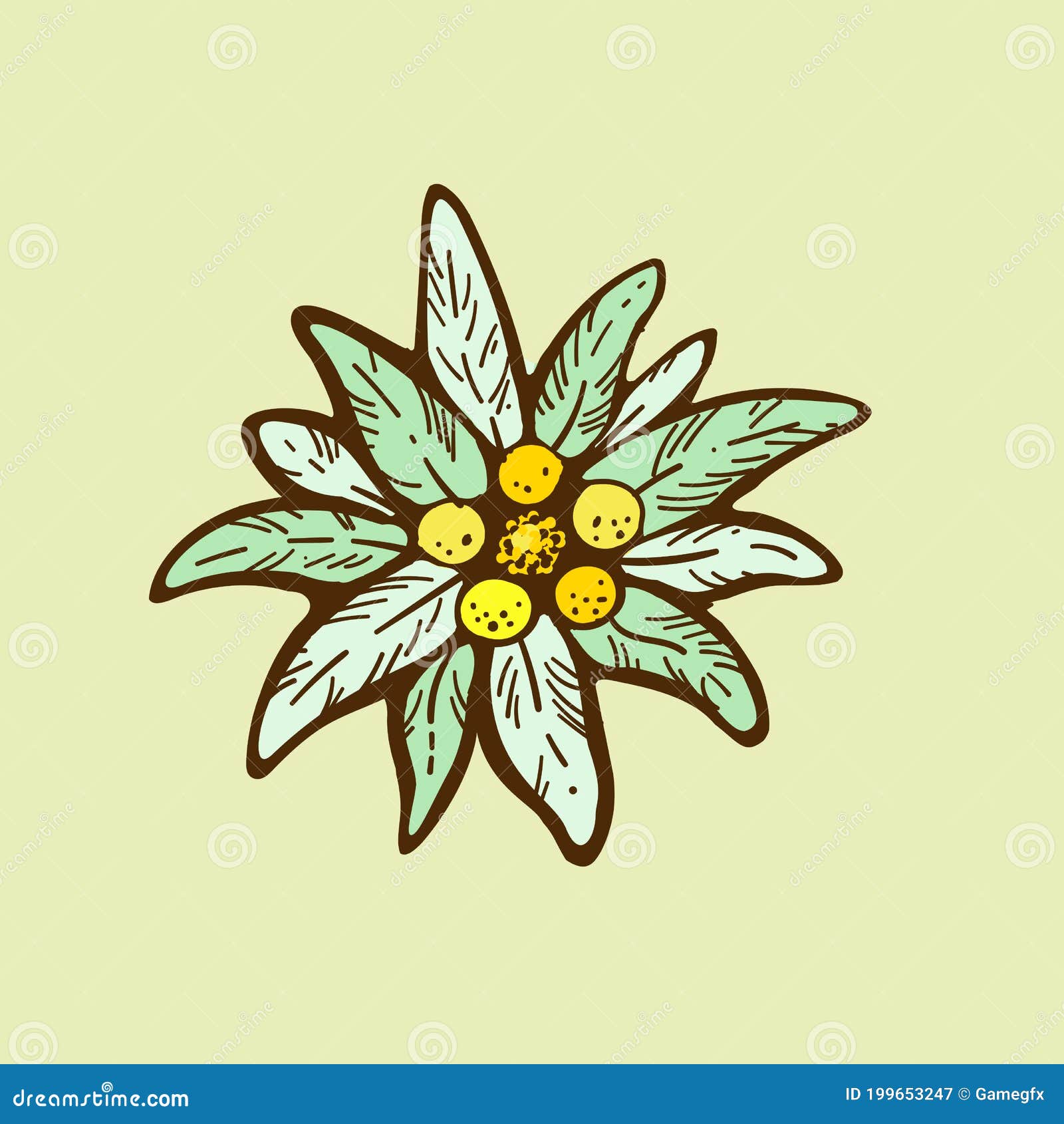 Edelweiss Flower Icon Vector Alpine Icon Flat Web Sign Symbol Logo ...