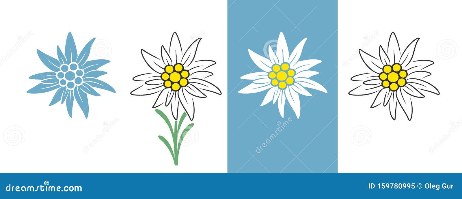 Edelweiss Cartoons, Illustrations & Vector Stock Images - 1118 Pictures ...