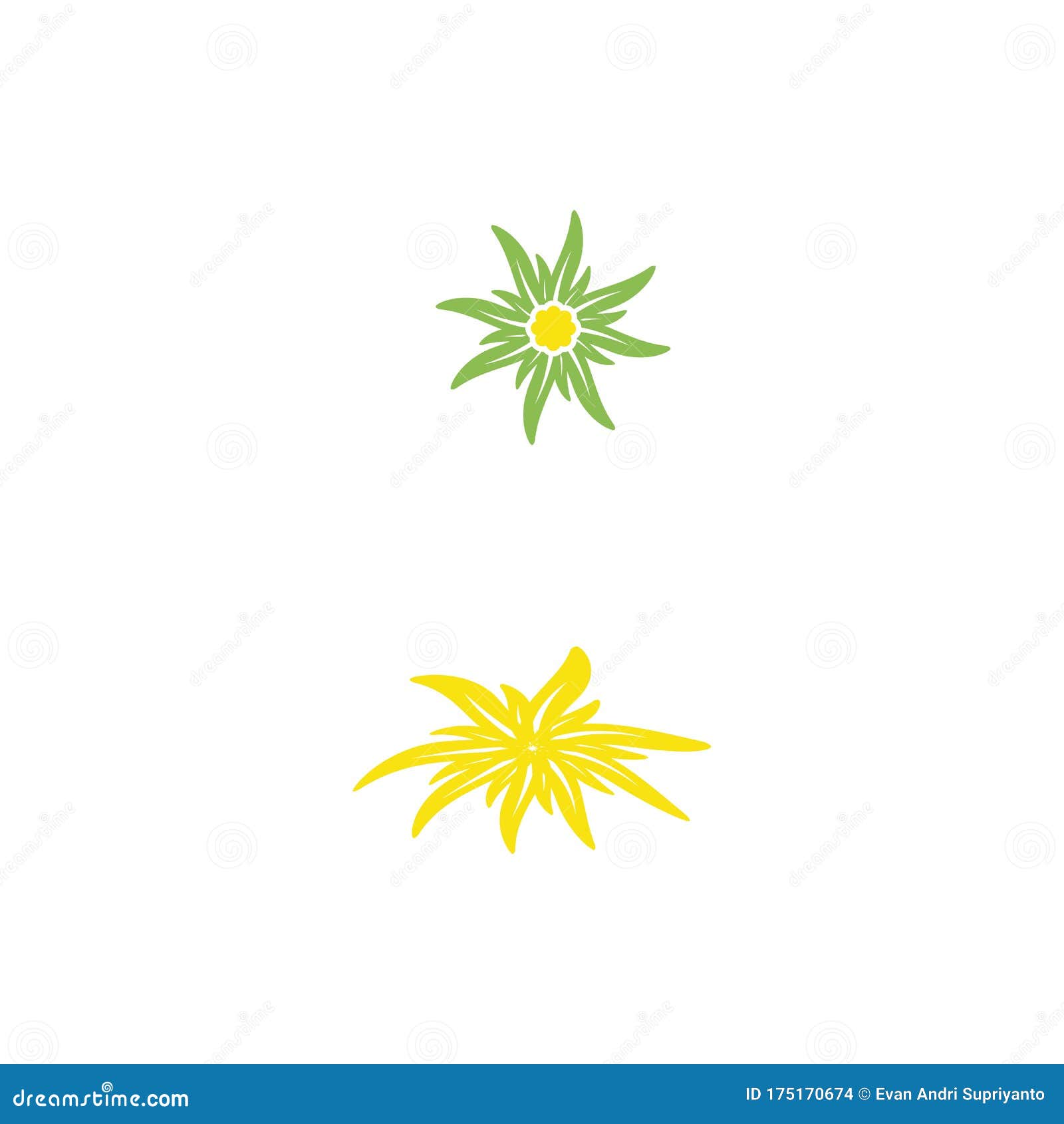 Edelweiss Logo Template Vector Stock Vector - Illustration of leaf ...