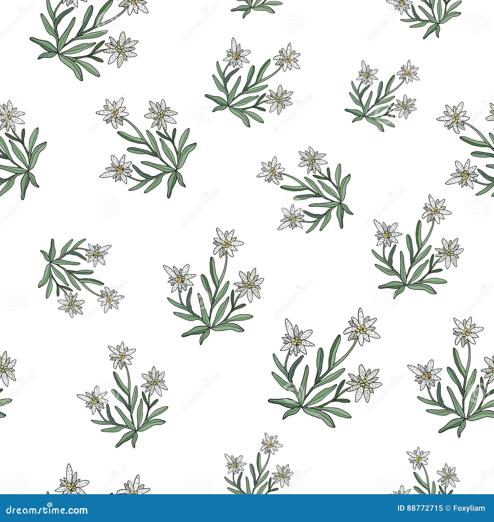 Edelweiss Cartoons, Illustrations & Vector Stock Images - 628 Pictures ...
