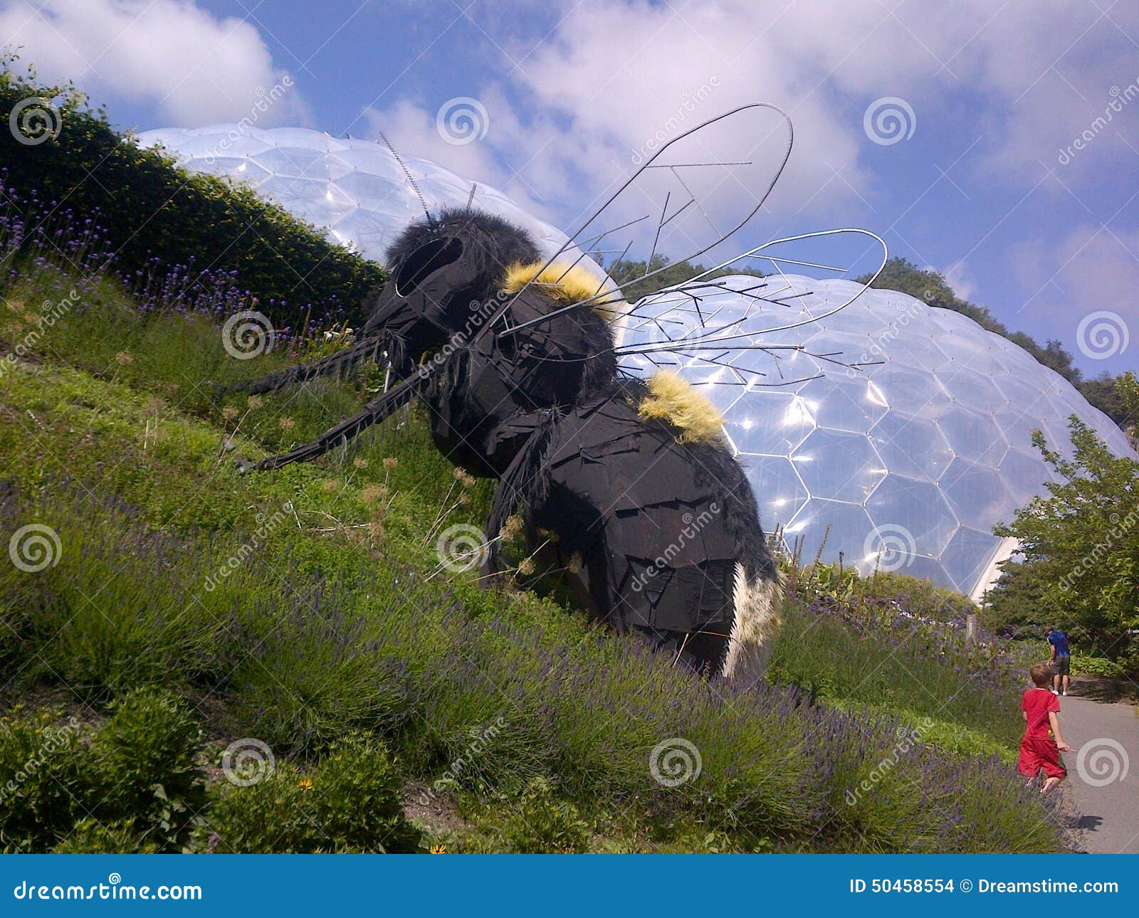 At the eden project editorial stock image. Image of eden - 50458554
