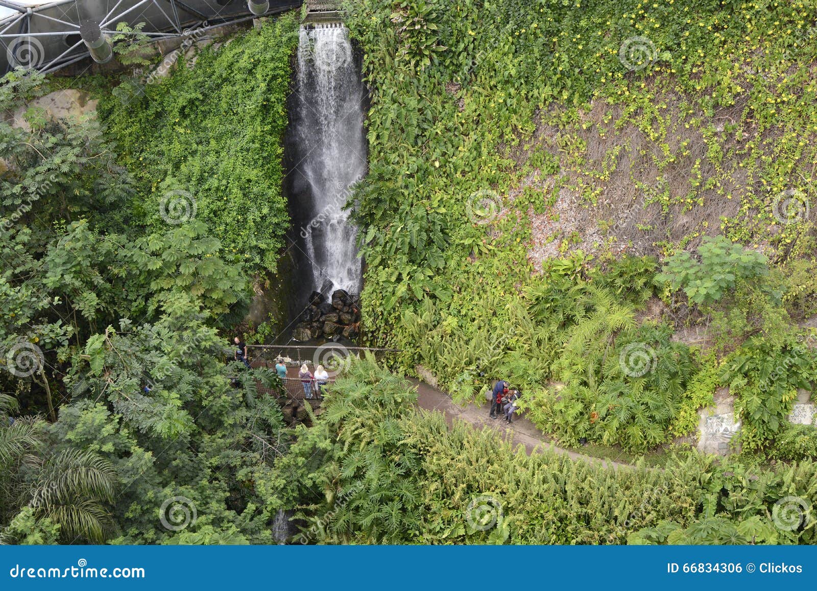 The Eden Project Biodome editorial photo. Image of tropical - 66834306