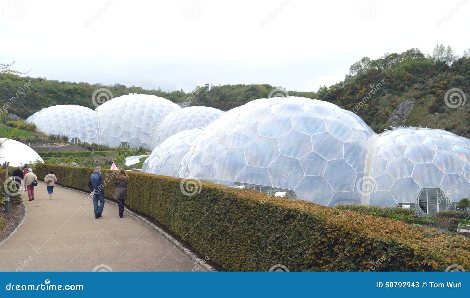 Eden Project Biodomes Cornwall Tom Wurl Redaktionelles Stockfoto - Bild ...