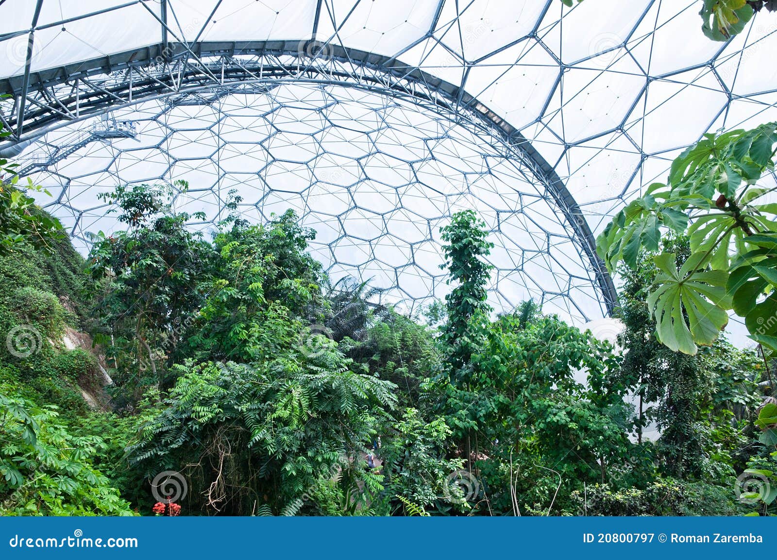 Eden Project Royalty-Free Stock Image | CartoonDealer.com #532000