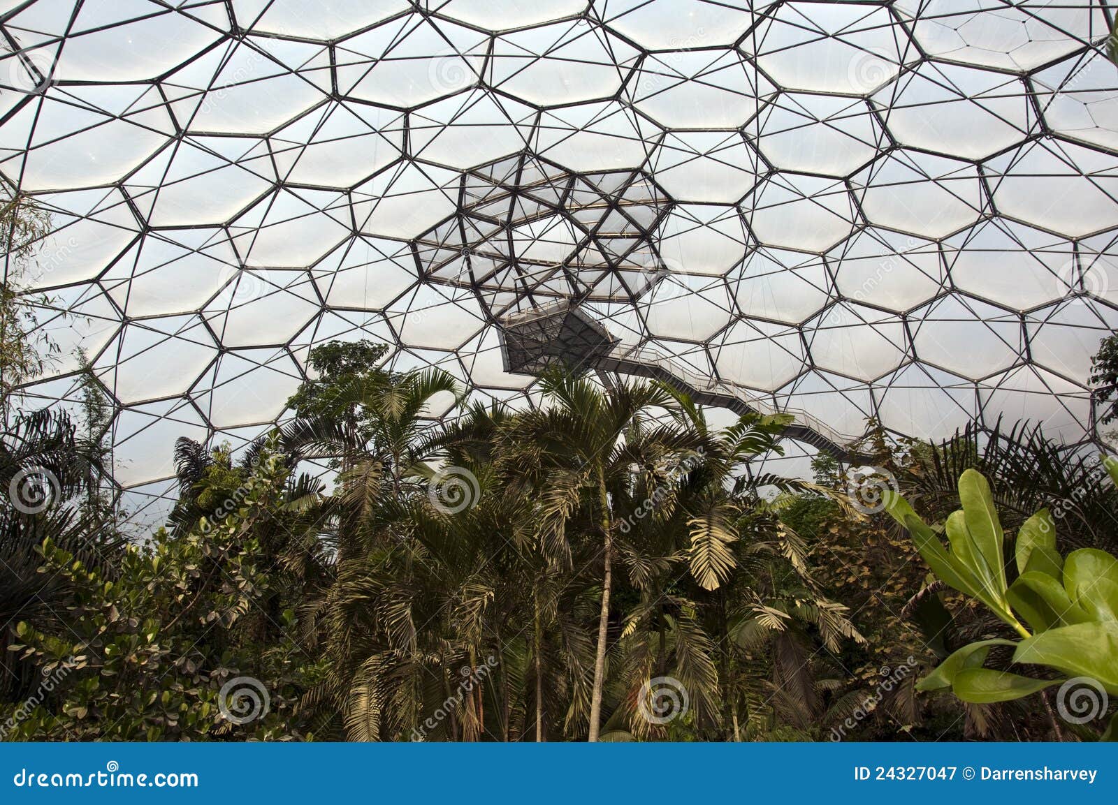 Eden Project - Rainforest Lookout Platform Stock Image - Image of ...