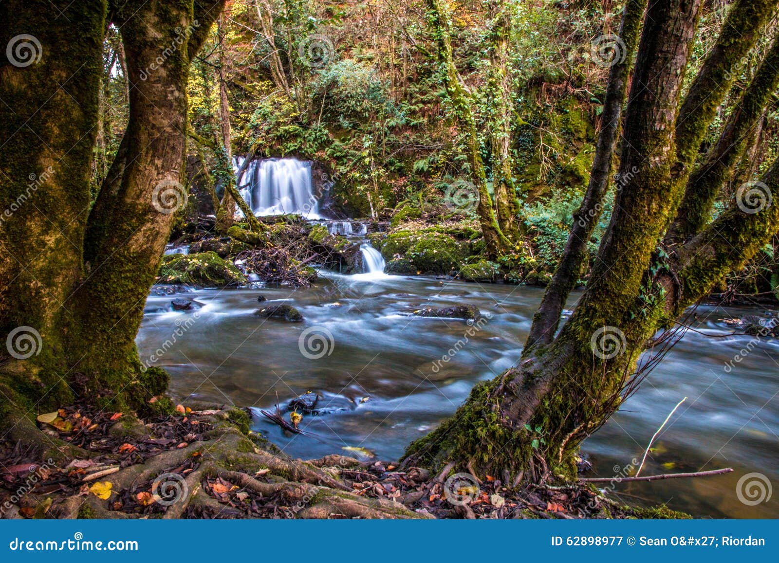 Edenvale Waterfall stock image. Image of motion, foliage - 62898977