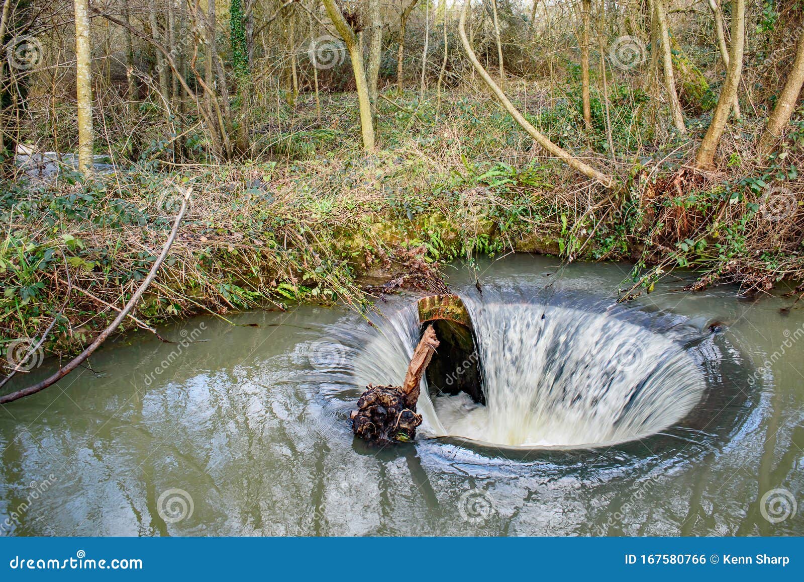 On the Edge of the Abyss, in the Woods Stock Photo - Image of nature ...