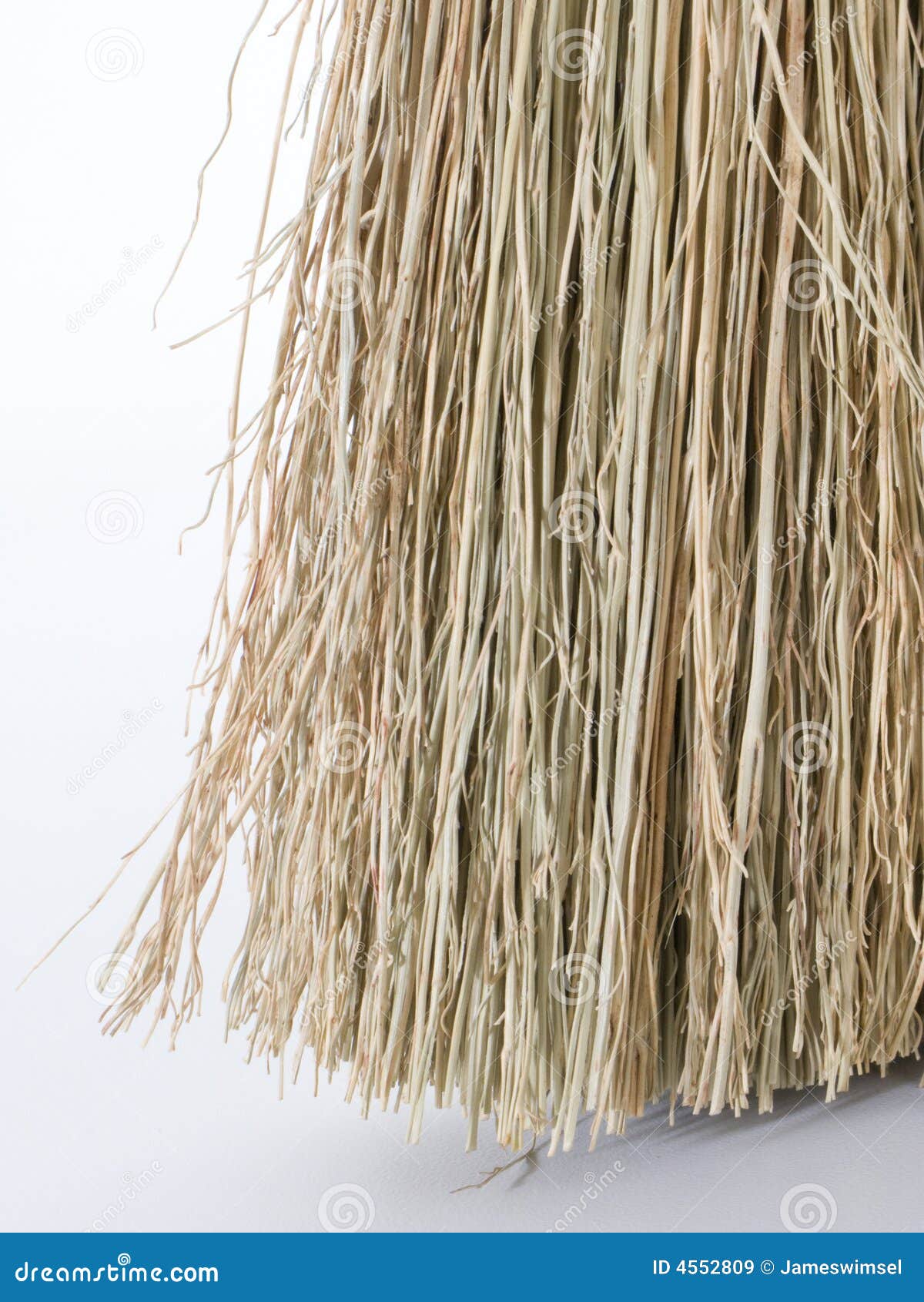 Edge Of Broom Picture. Image: 4552809