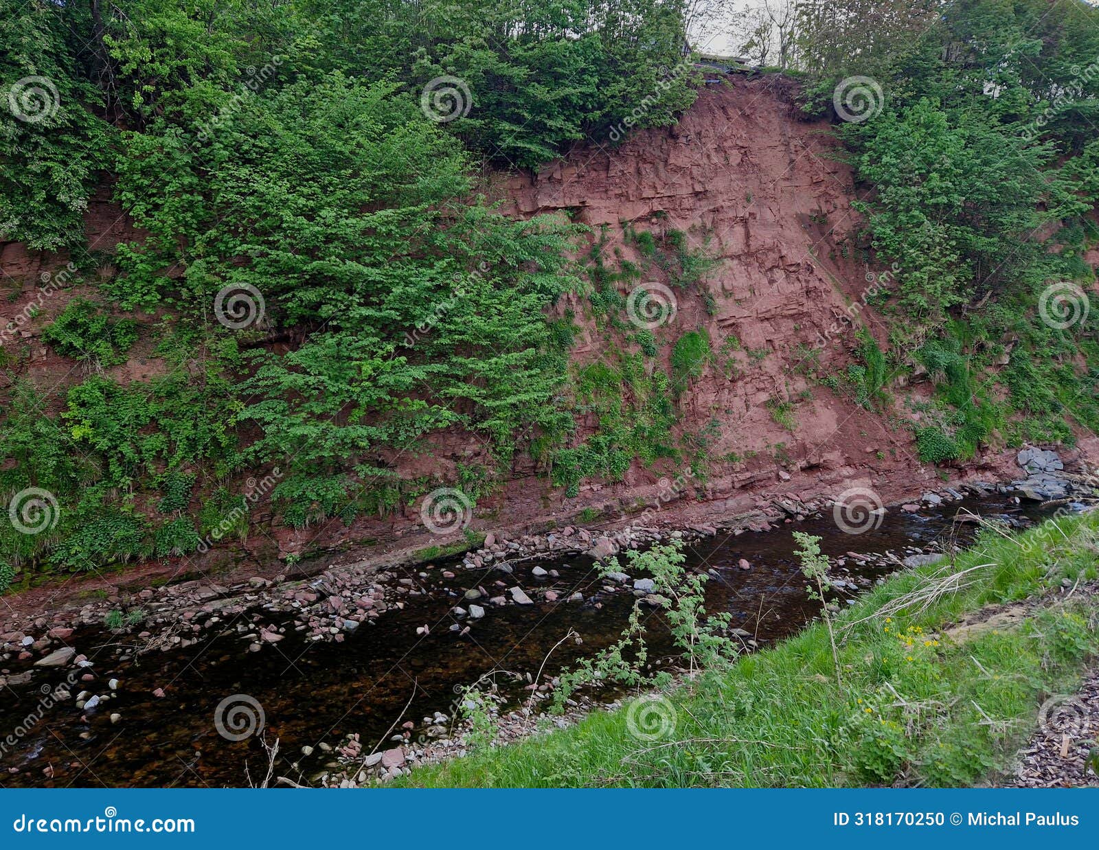 The Edge of the Cliff Above the River is Red because the Iron Stock ...