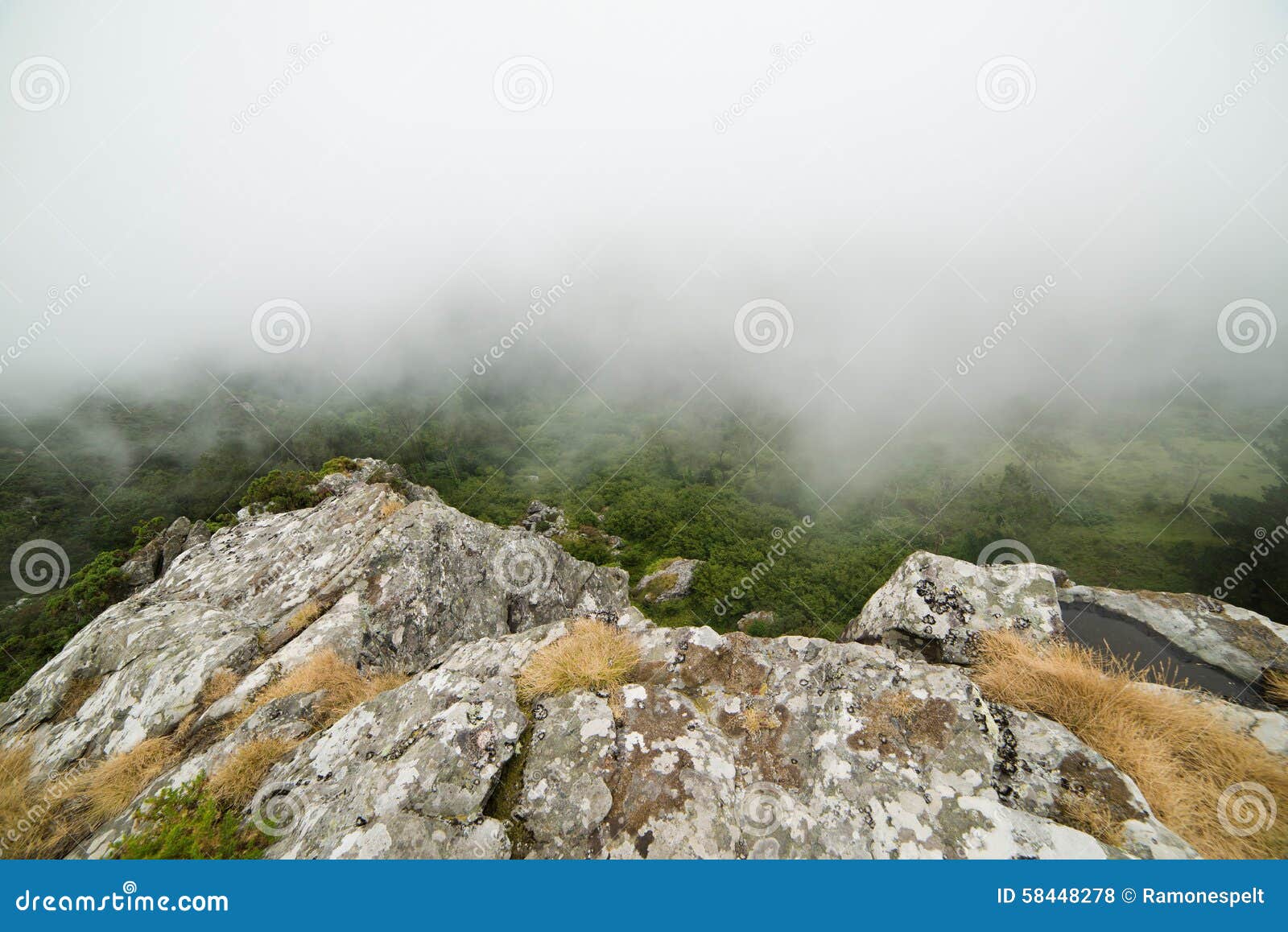 At the Edge of a Cliff in the Mountains Stock Photo - Image of outdoors ...